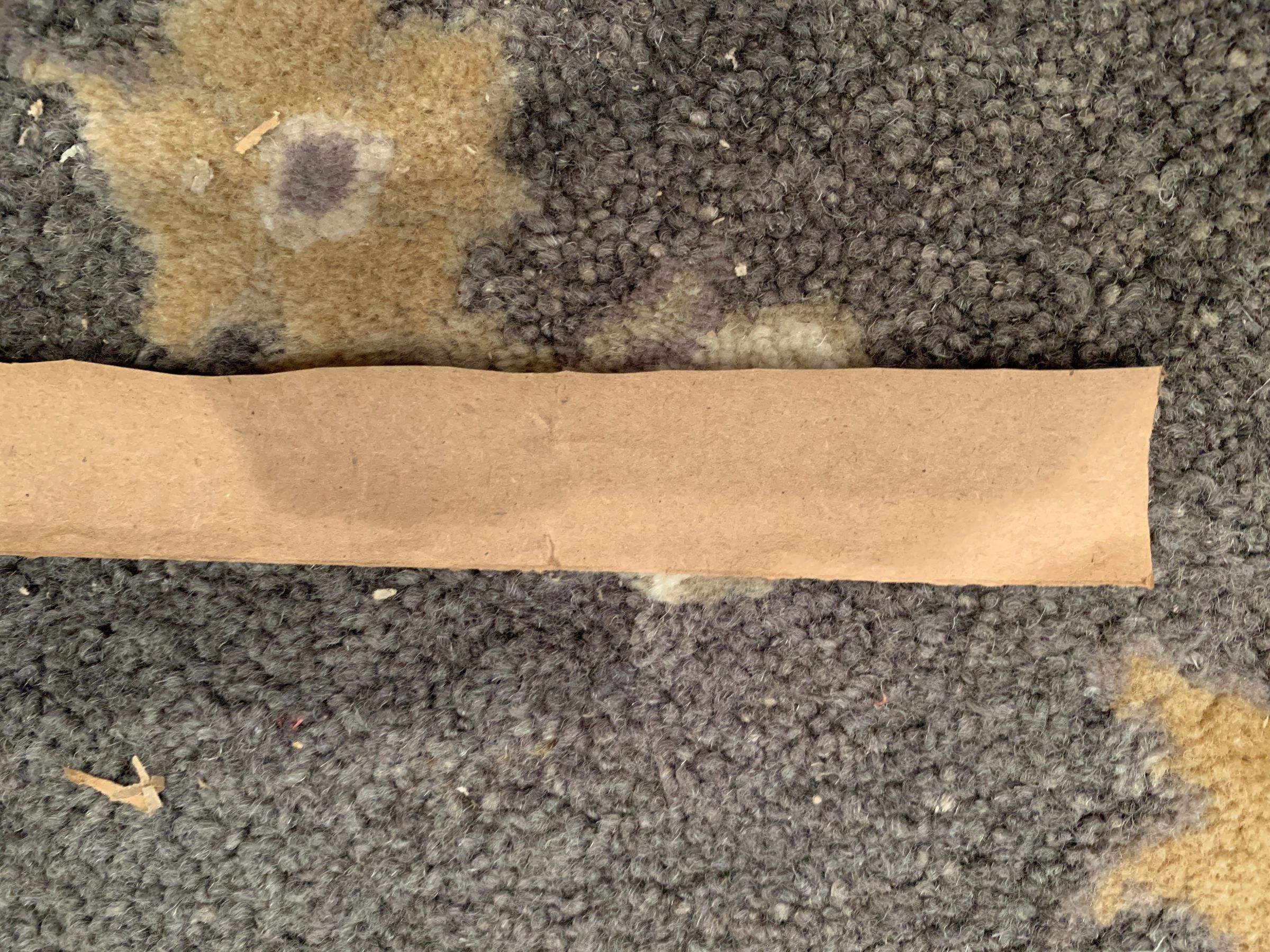 Flower Automata : 8 Steps - Instructables