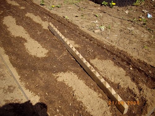 Make Your Own Planting Board : 3 Steps - Instructables