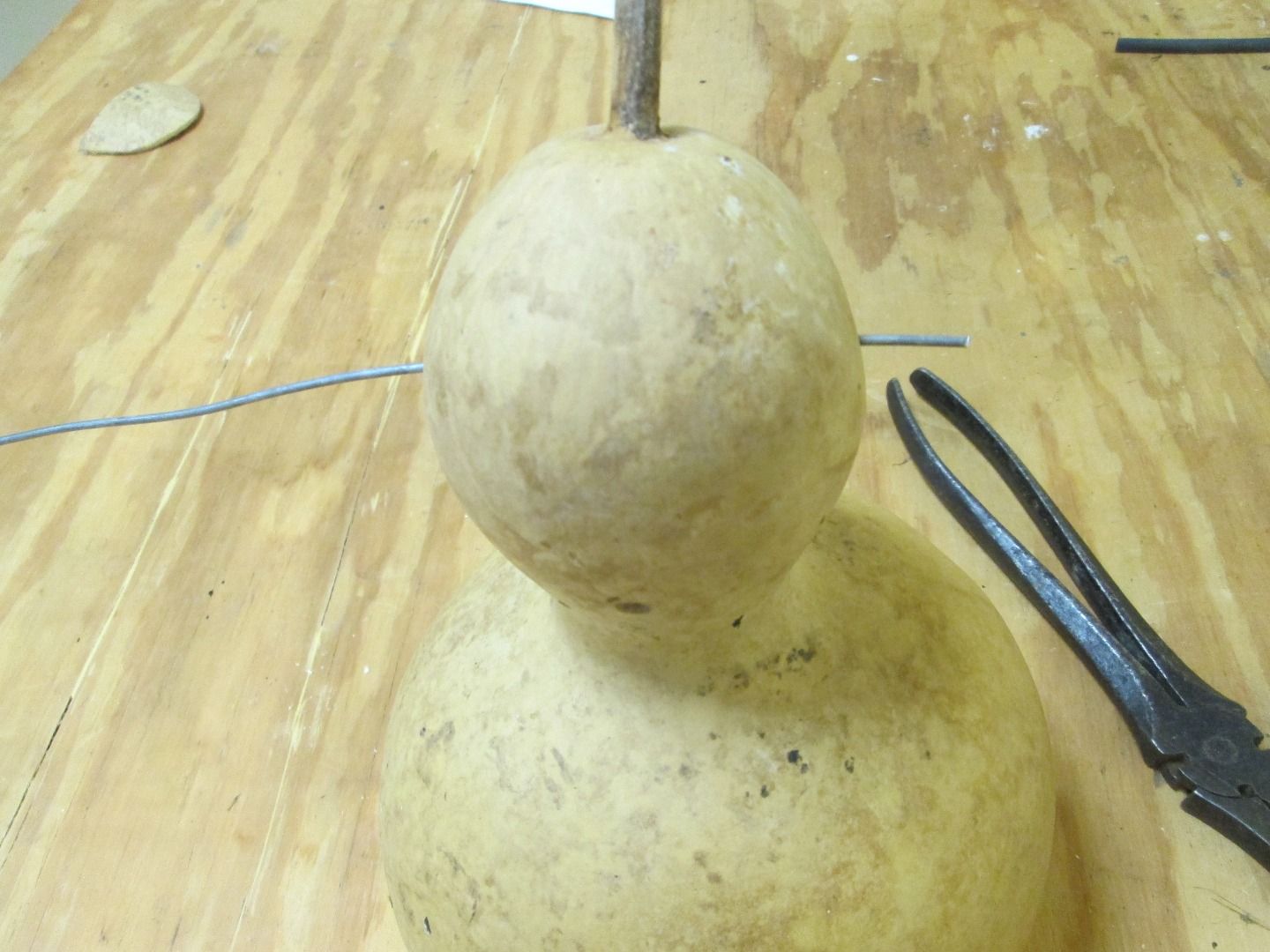 Build a Gourd Birdhouse : 8 Steps (with Pictures) - Instructables