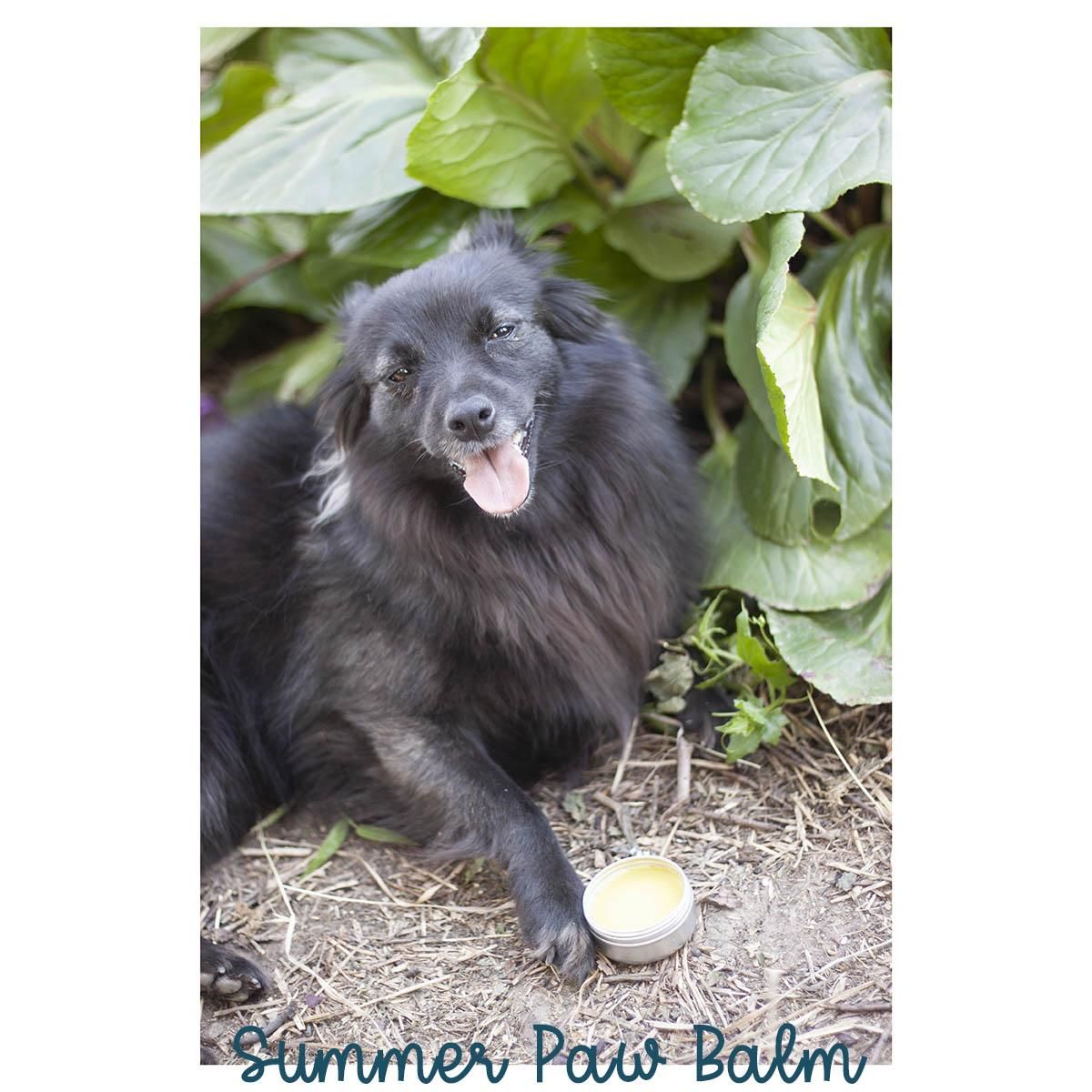 Summer Paw Balm - Instructables