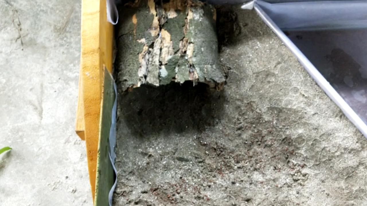 Turtle Habitat for Baby Turtles | Homemade Turtle Garden : 18 Steps ...