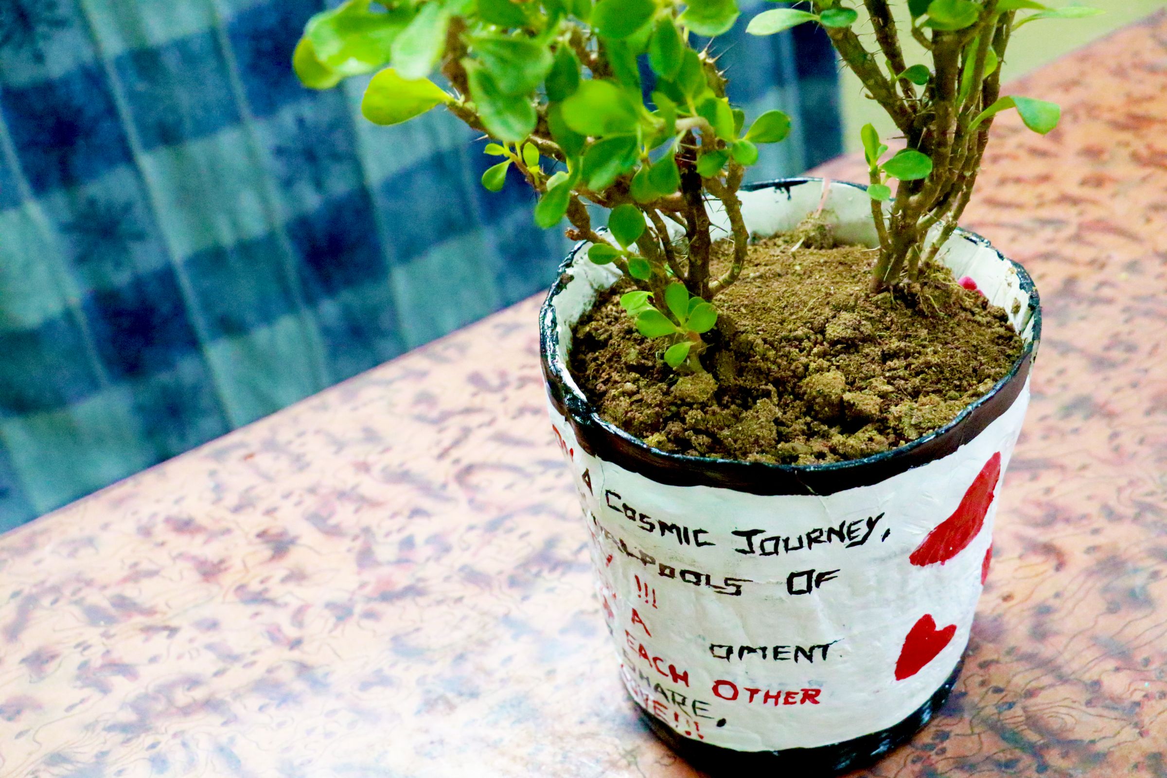 Personalized Theme Pot for the Love of Gardens : 5 Steps (with Pictures ...