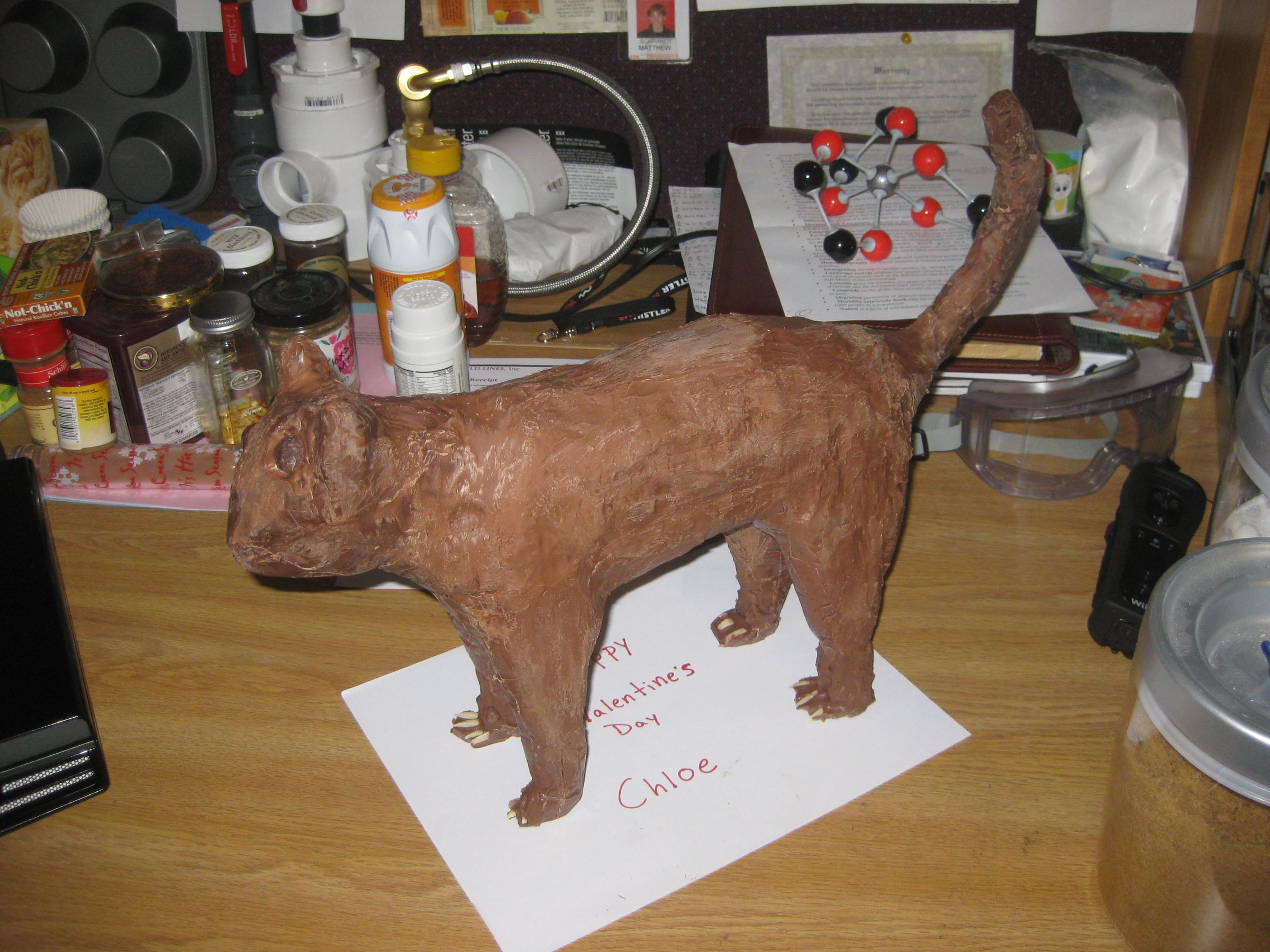 Chocolate Cat : 9 Steps - Instructables