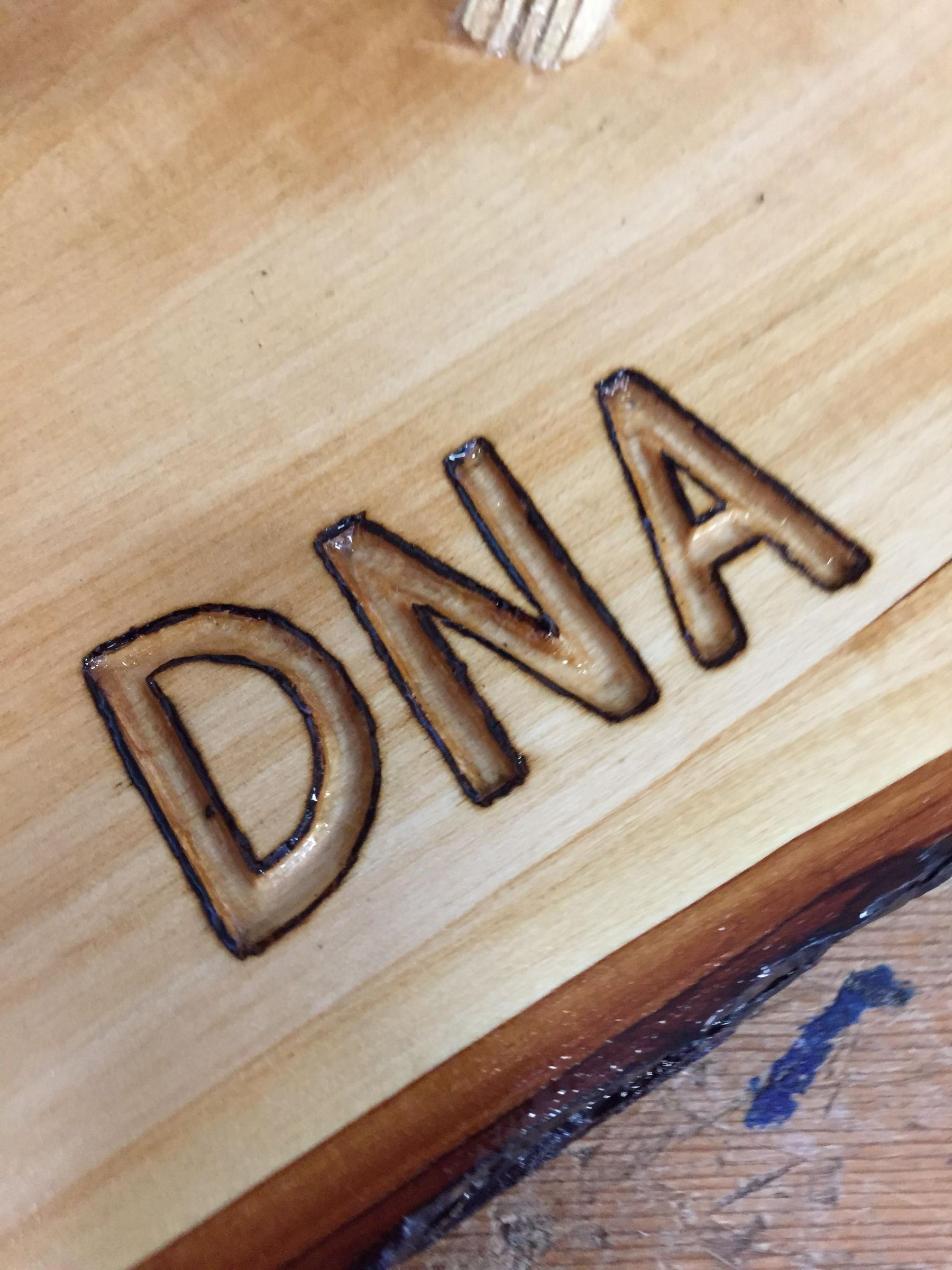 Laminated Plywood DNA Model : 12 Steps (with Pictures) - Instructables
