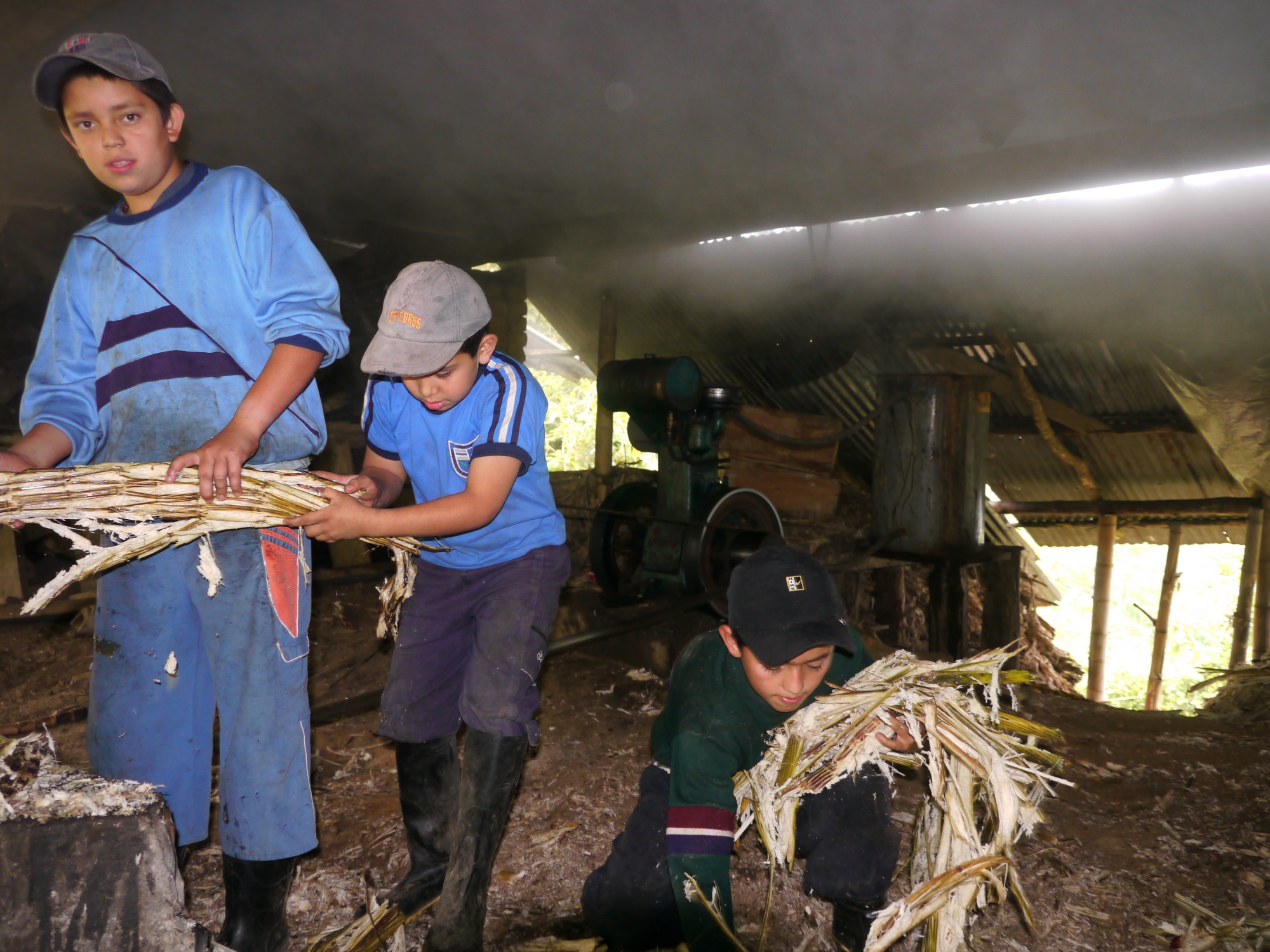 Making Panela (sugar Blocks) - Instructables