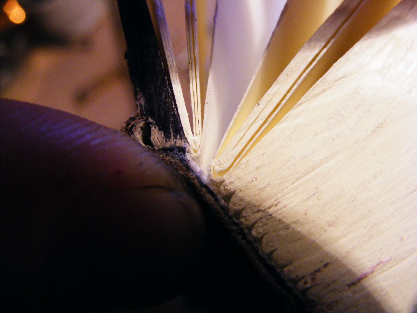 Bookbinding With Basic Tools