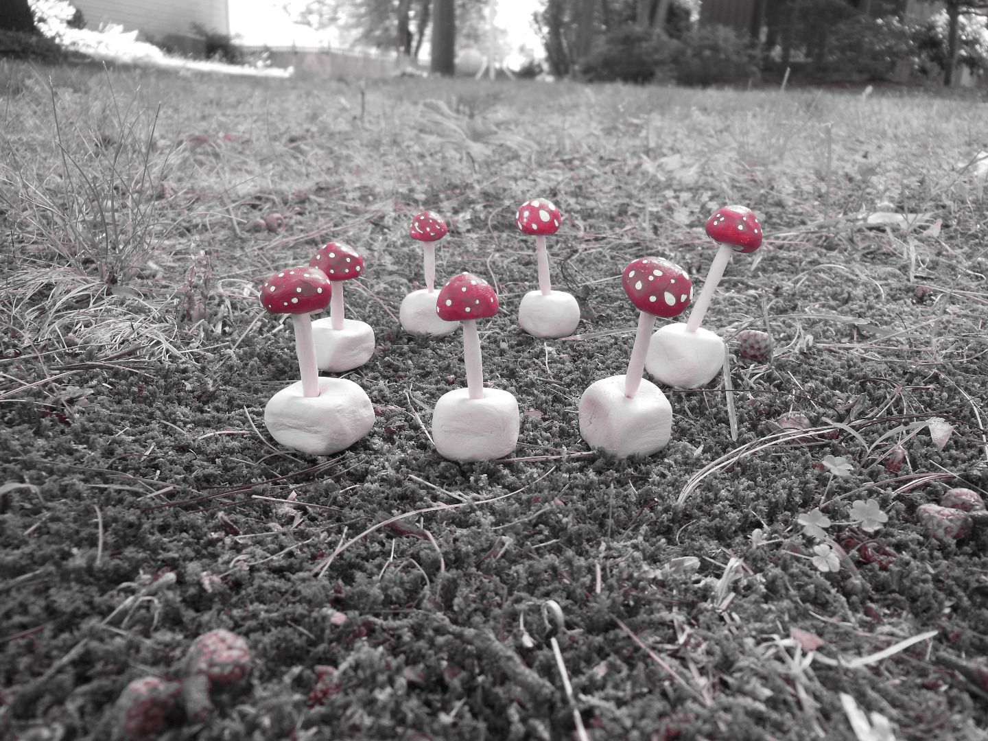 Mini Clay Mushroom Toadstools : 7 Steps - Instructables