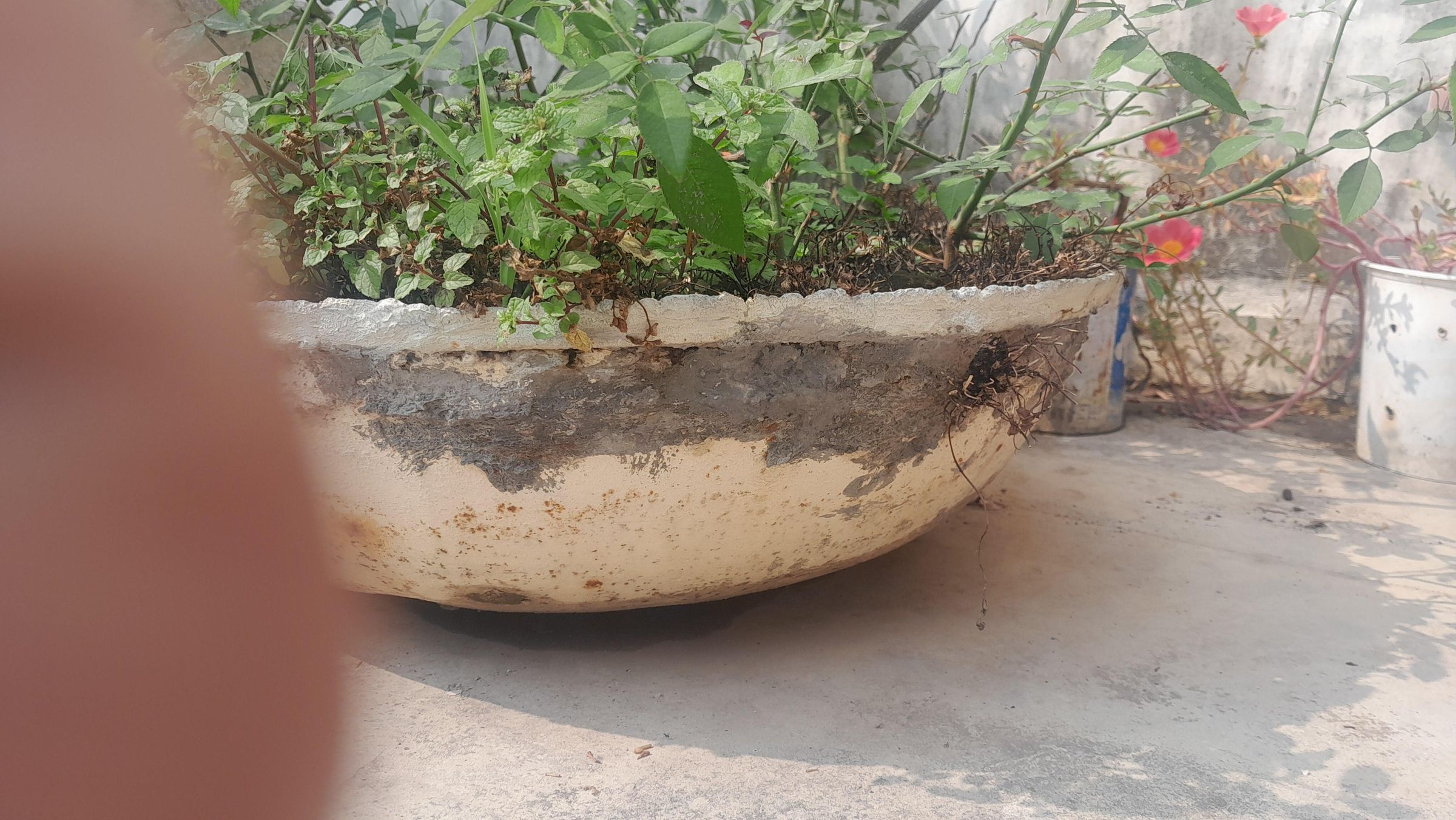 Rejuvenating Cracked Flower Pots : 5 Steps - Instructables