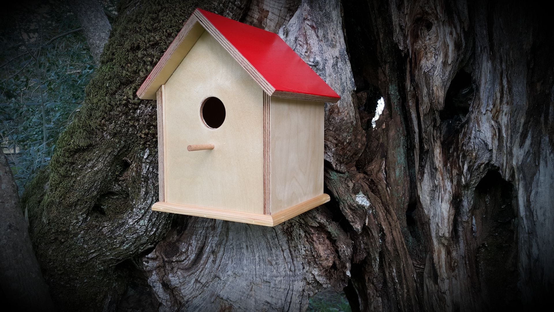 Making a Birdhouse : 11 Steps (with Pictures) - Instructables
