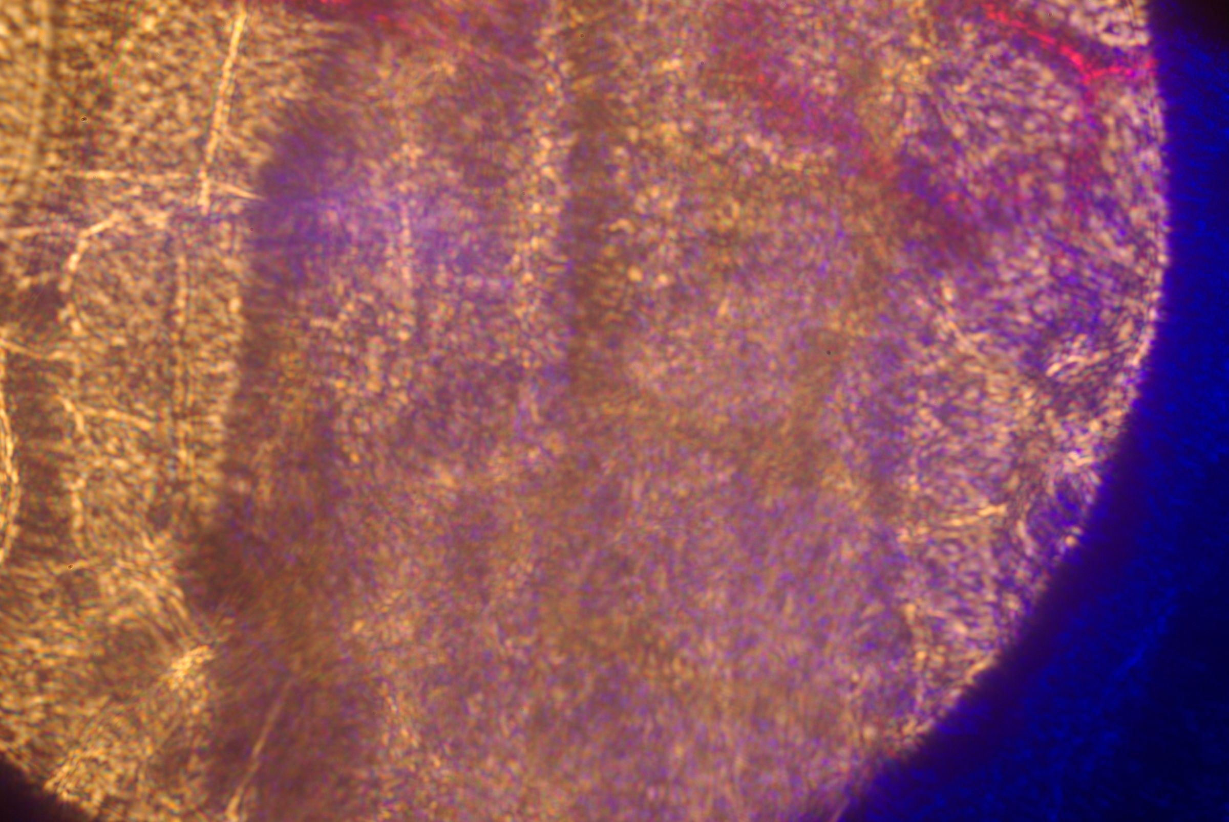 Lensless Photography : 9 Steps - Instructables