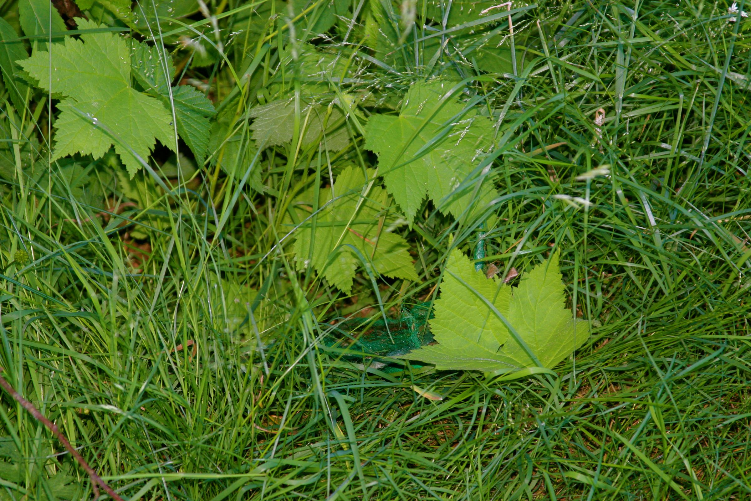 Prototype Airsoft Trip Mine. - Instructables