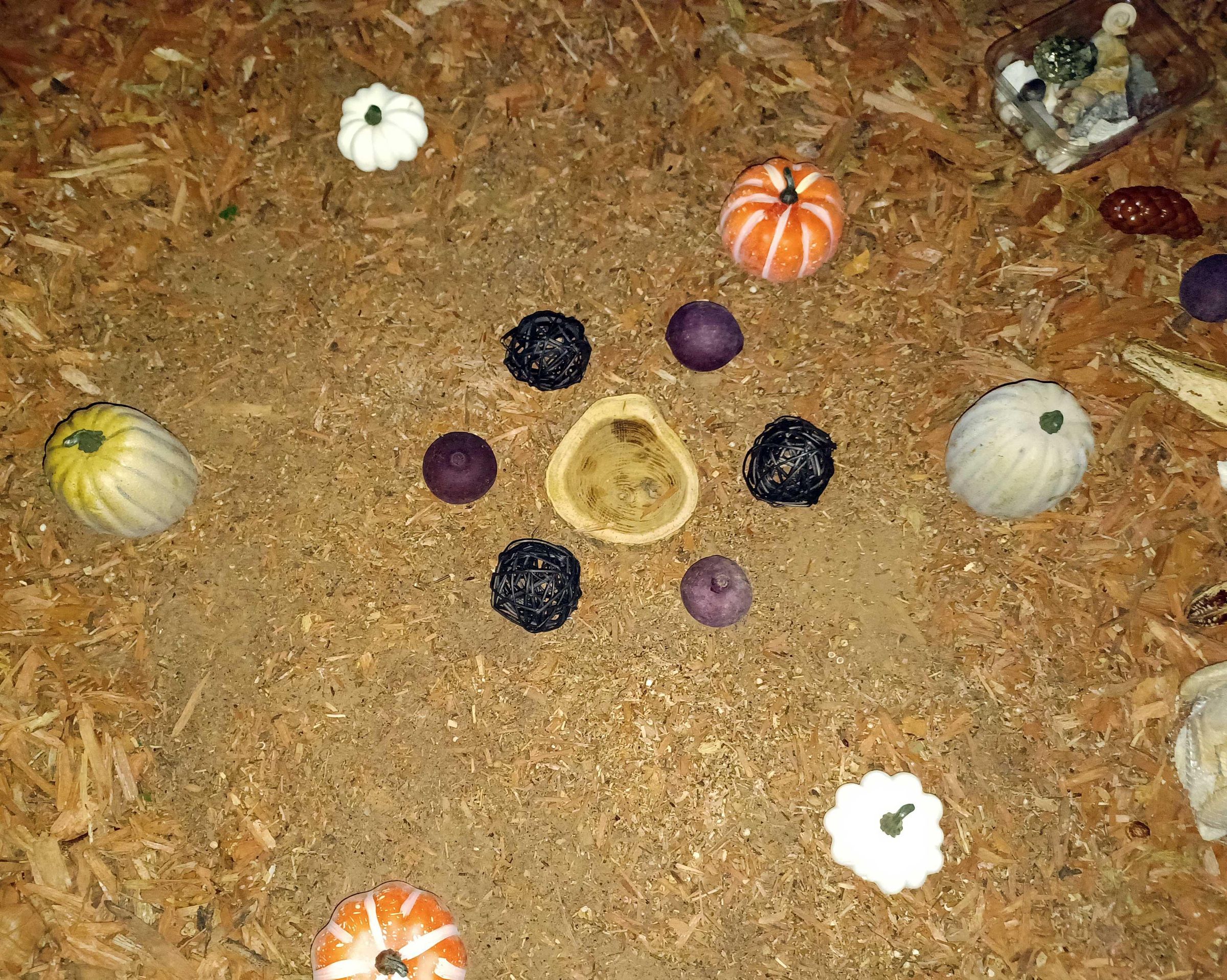 Garden Mandala Land Art : 4 Steps - Instructables