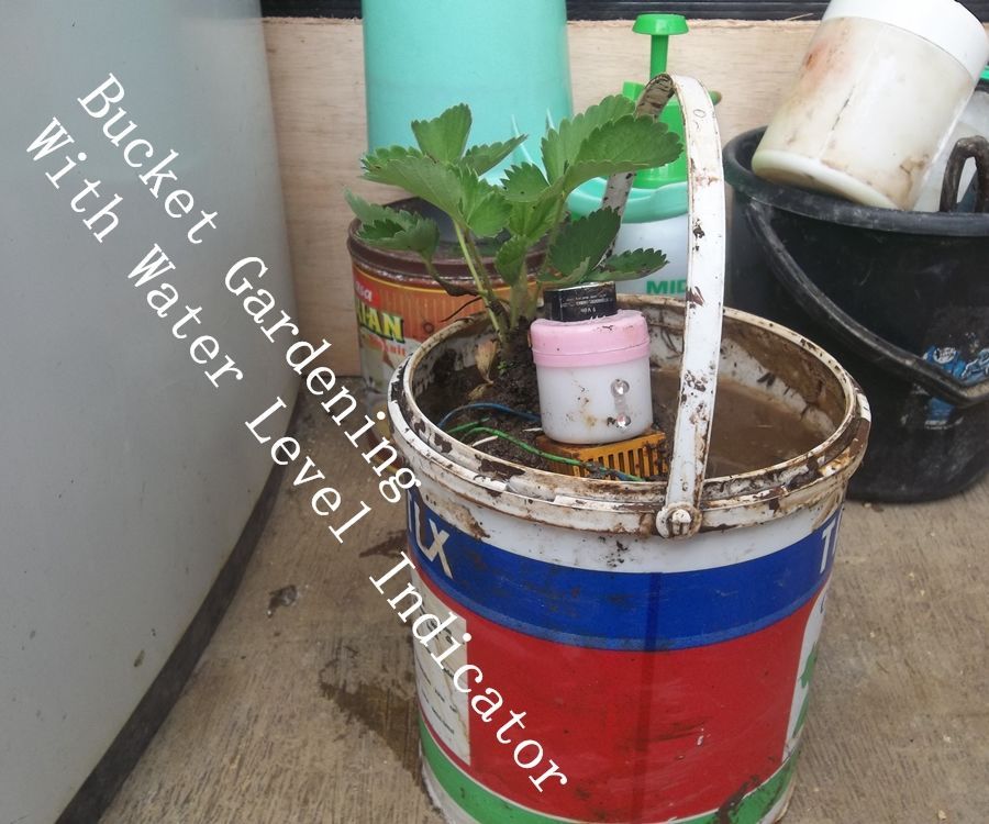 How to Make Bucket Gardening With Water Level Indicator : 7 Steps (with ...