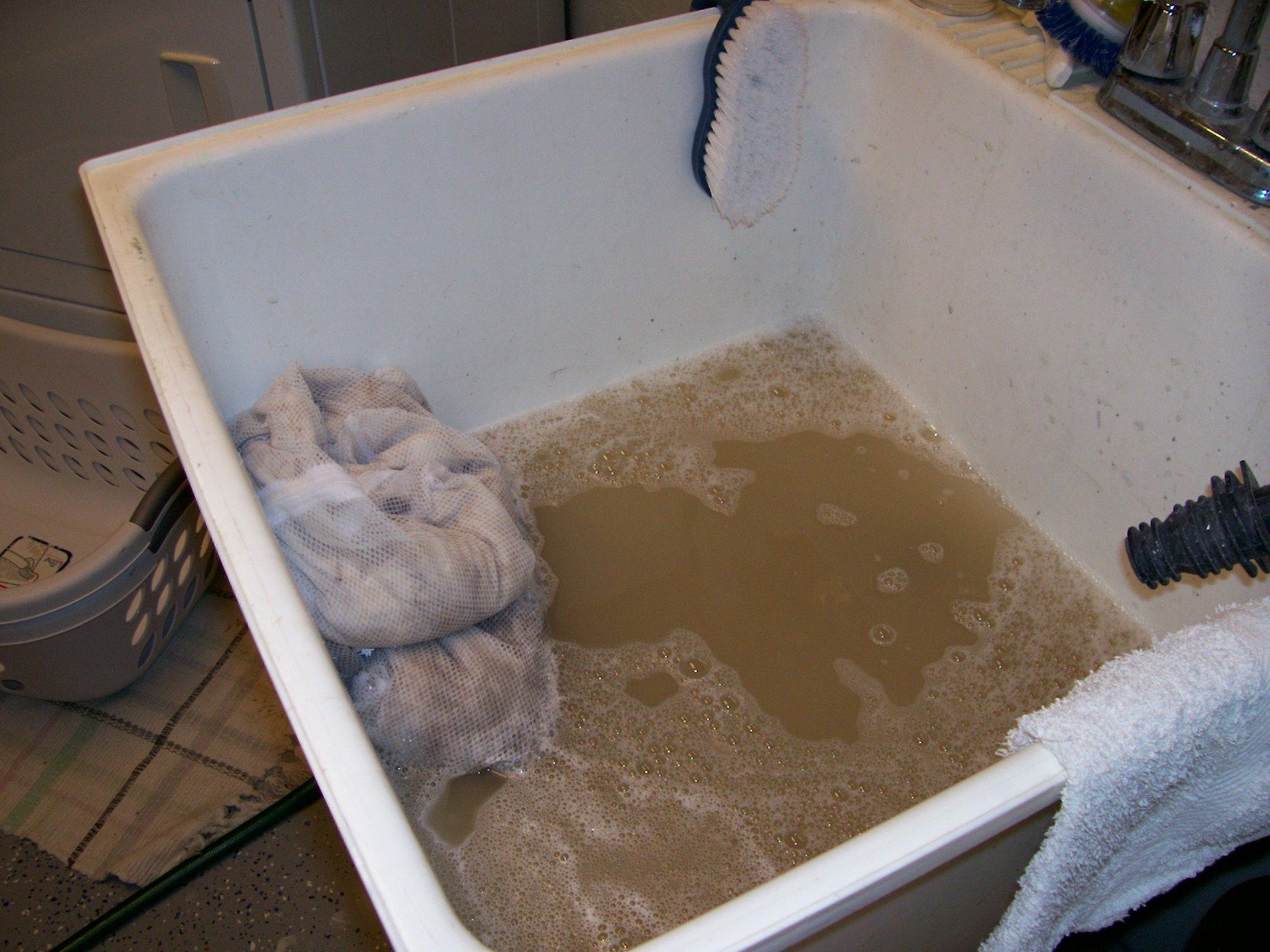 Wash Dog Fur for Spinning : 7 Steps (with Pictures) - Instructables