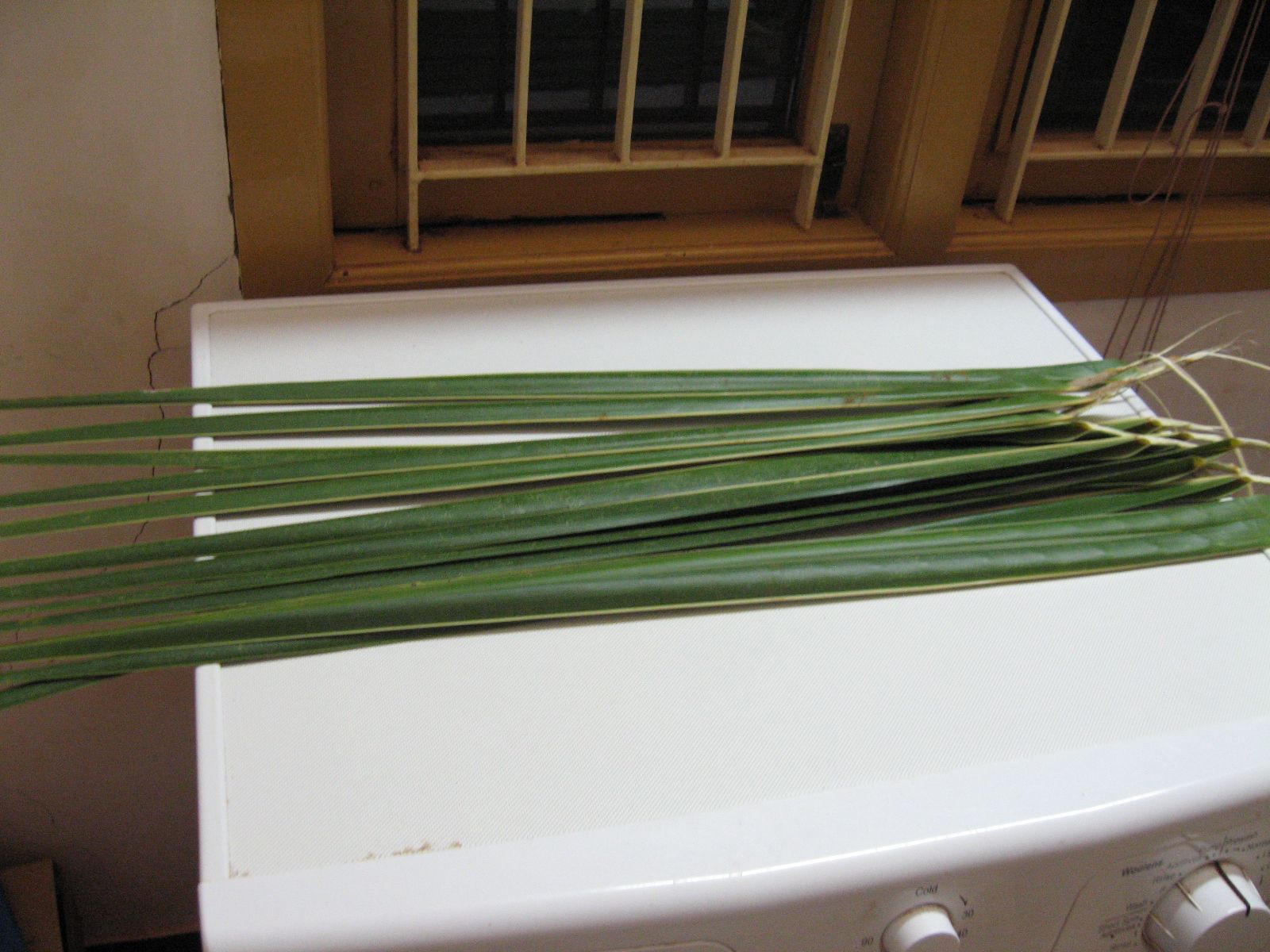 How to Weave a Small Mat From Coconut Leaves : 4 Steps (with Pictures ...
