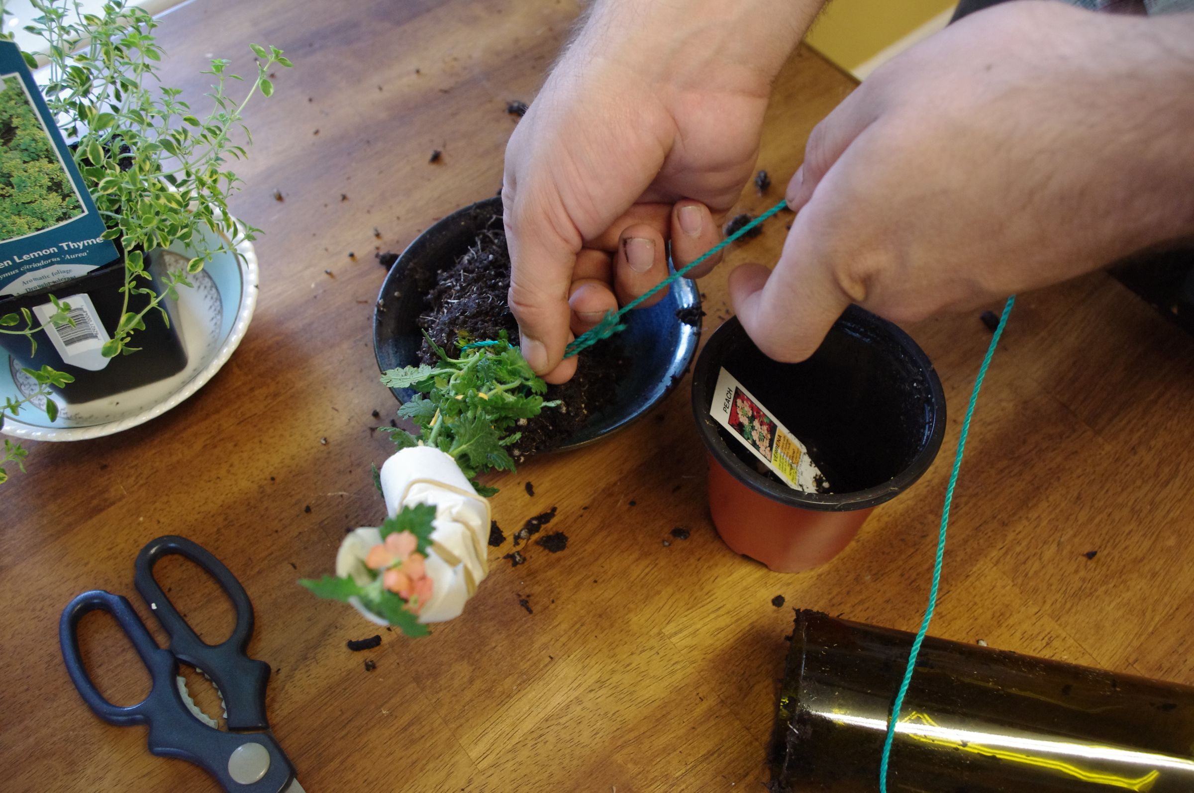 Inverted Wine Bottle Planter : 7 Steps (with Pictures) - Instructables