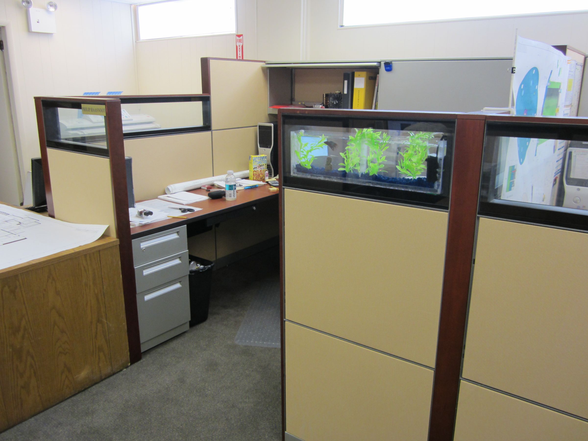 DIY Office Fishtank : 4 Steps - Instructables