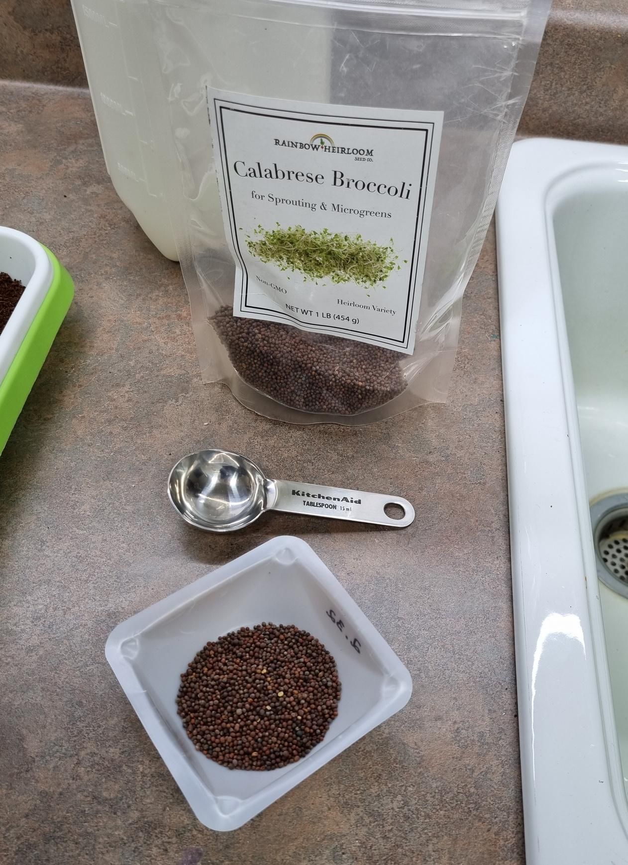 Very Simple Broccoli Micro Greens : 5 Steps (with Pictures) - Instructables