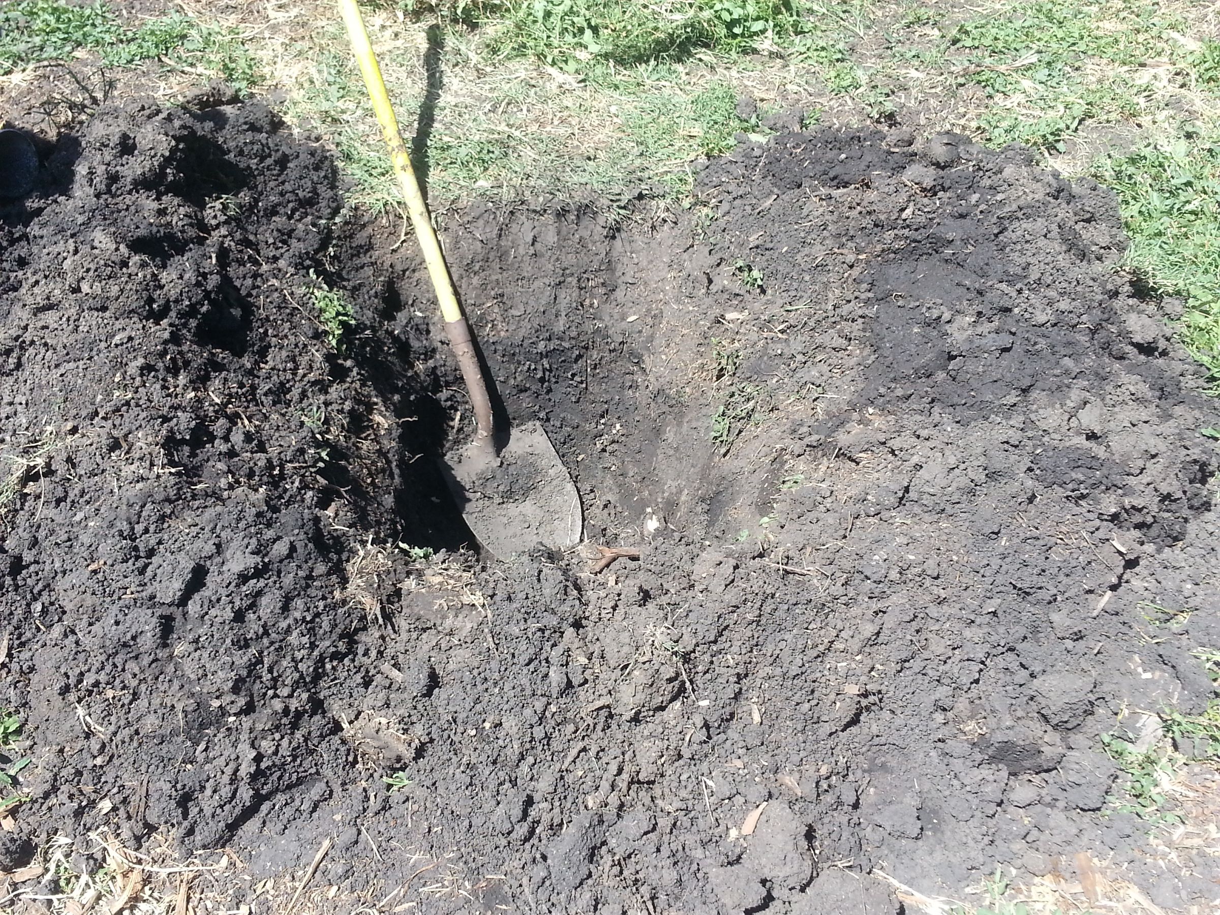 Sheet Mulching : 12 Steps - Instructables