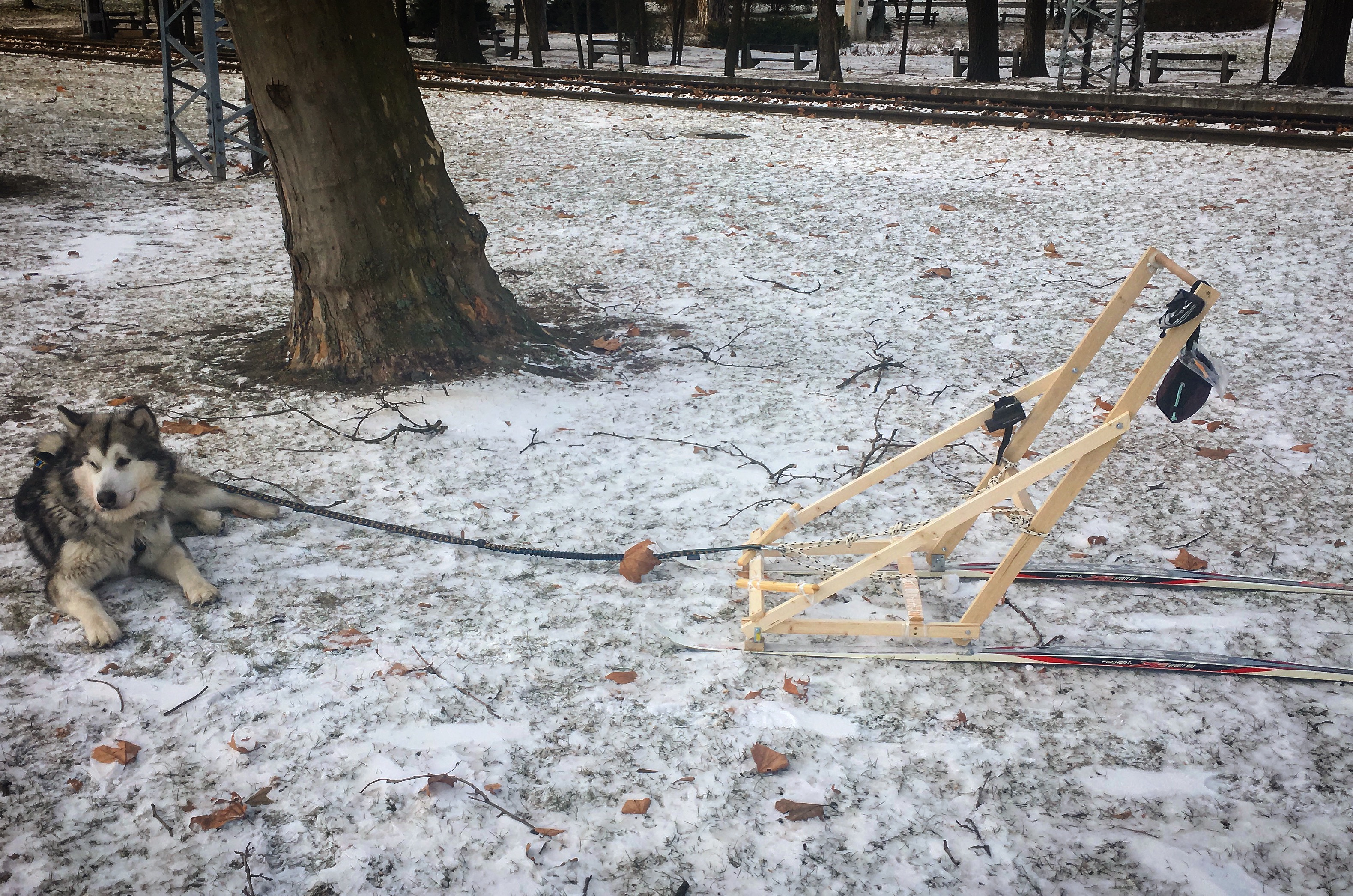 Homemade Dogsled (kicksled) : 8 Steps (with Pictures) - Instructables