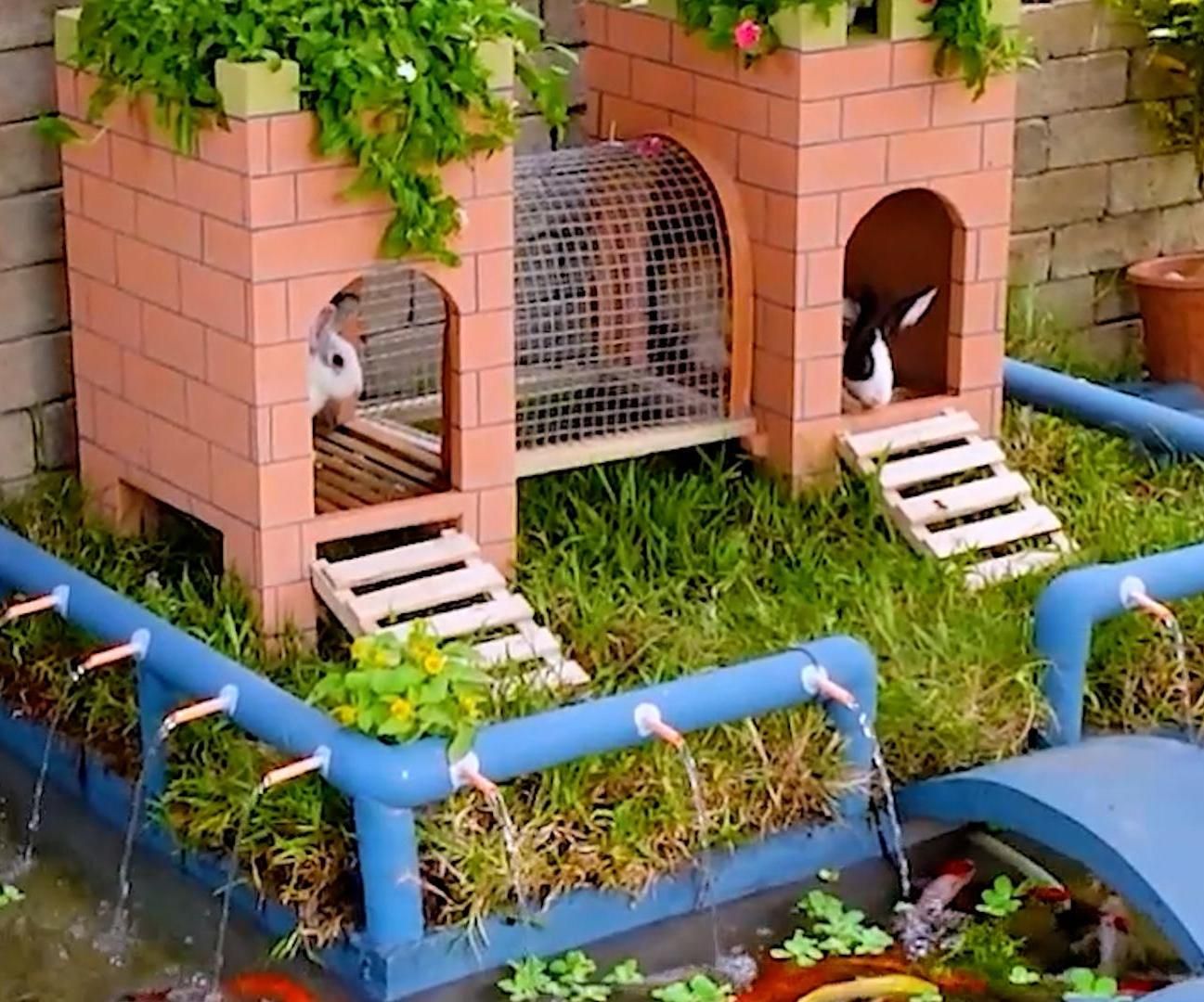 Creating a Bunny Shelter and Fish Pond With Natural Elements - Our ...
