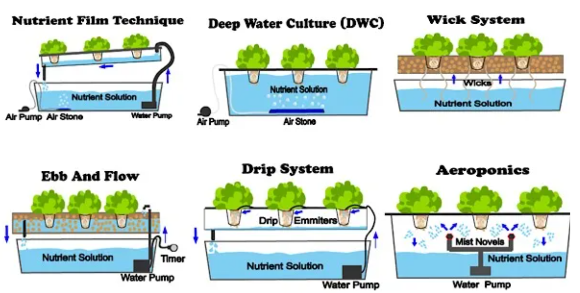 JunkyardHydro - a Modular Ebb and Flow DIY Hydroponics System : 15 ...