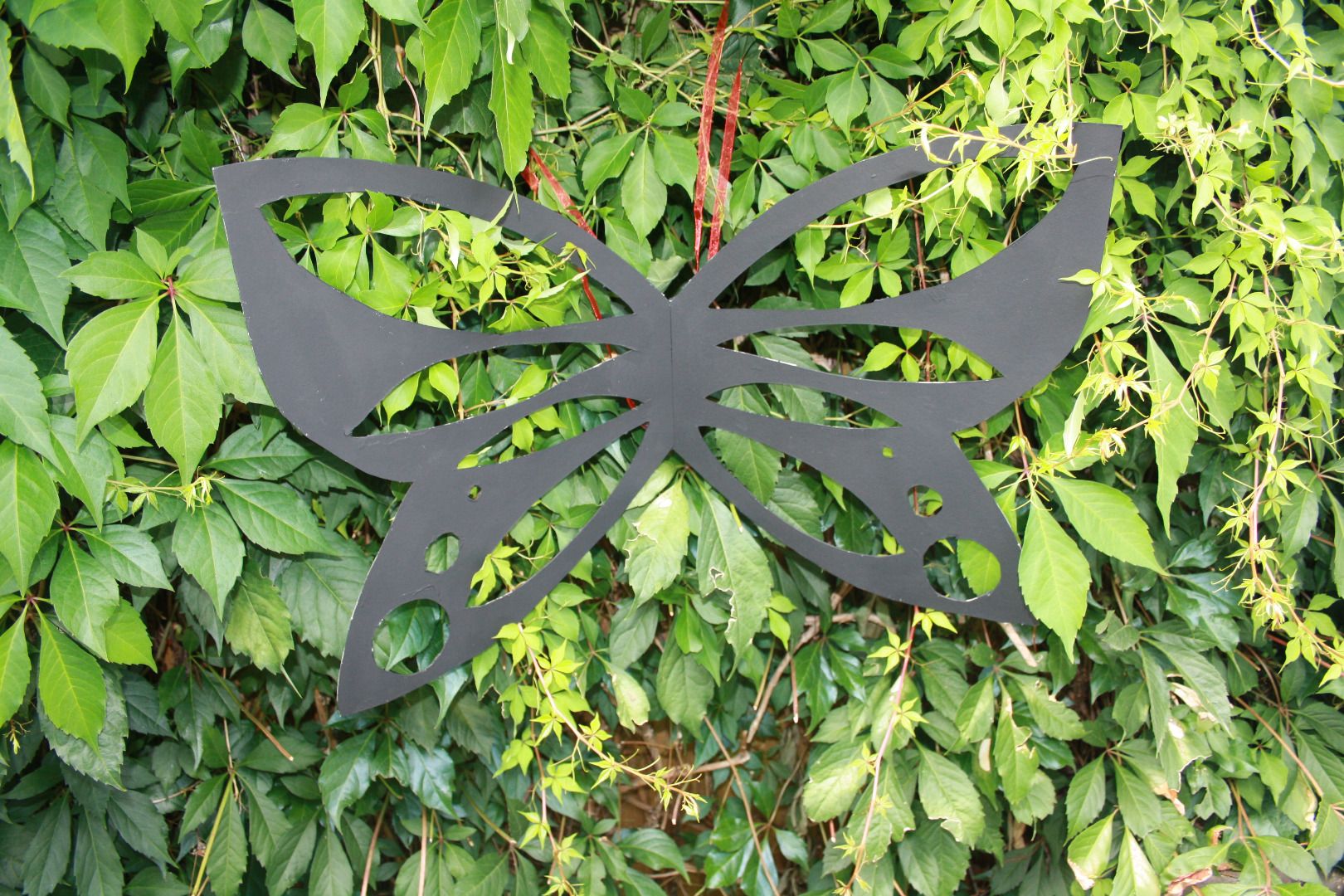 Butterfly Wings : 5 Steps - Instructables