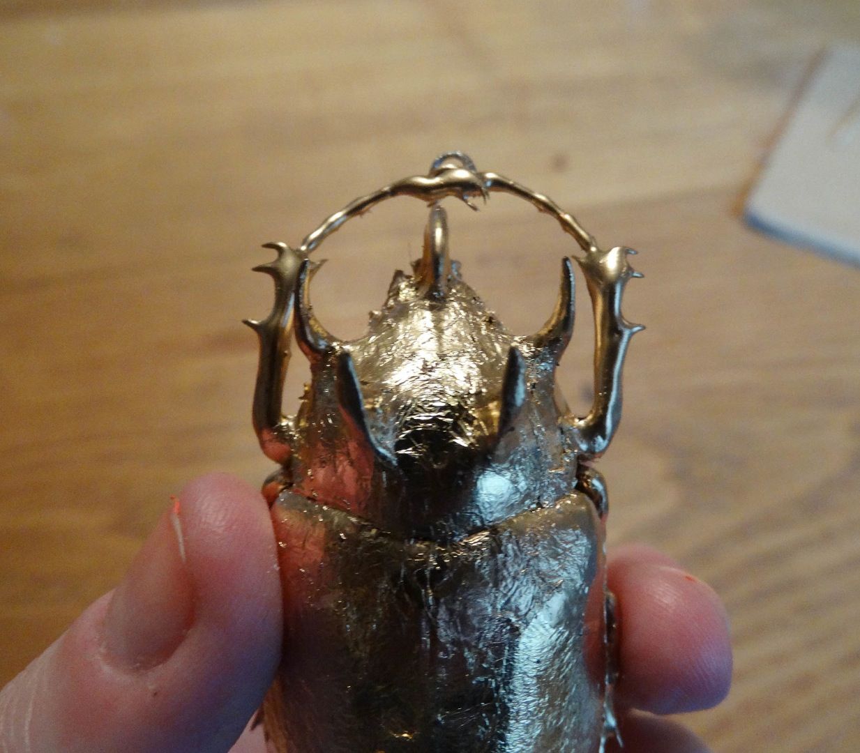 Preparing and Gilding a Real Insect : 10 Steps (with Pictures ...