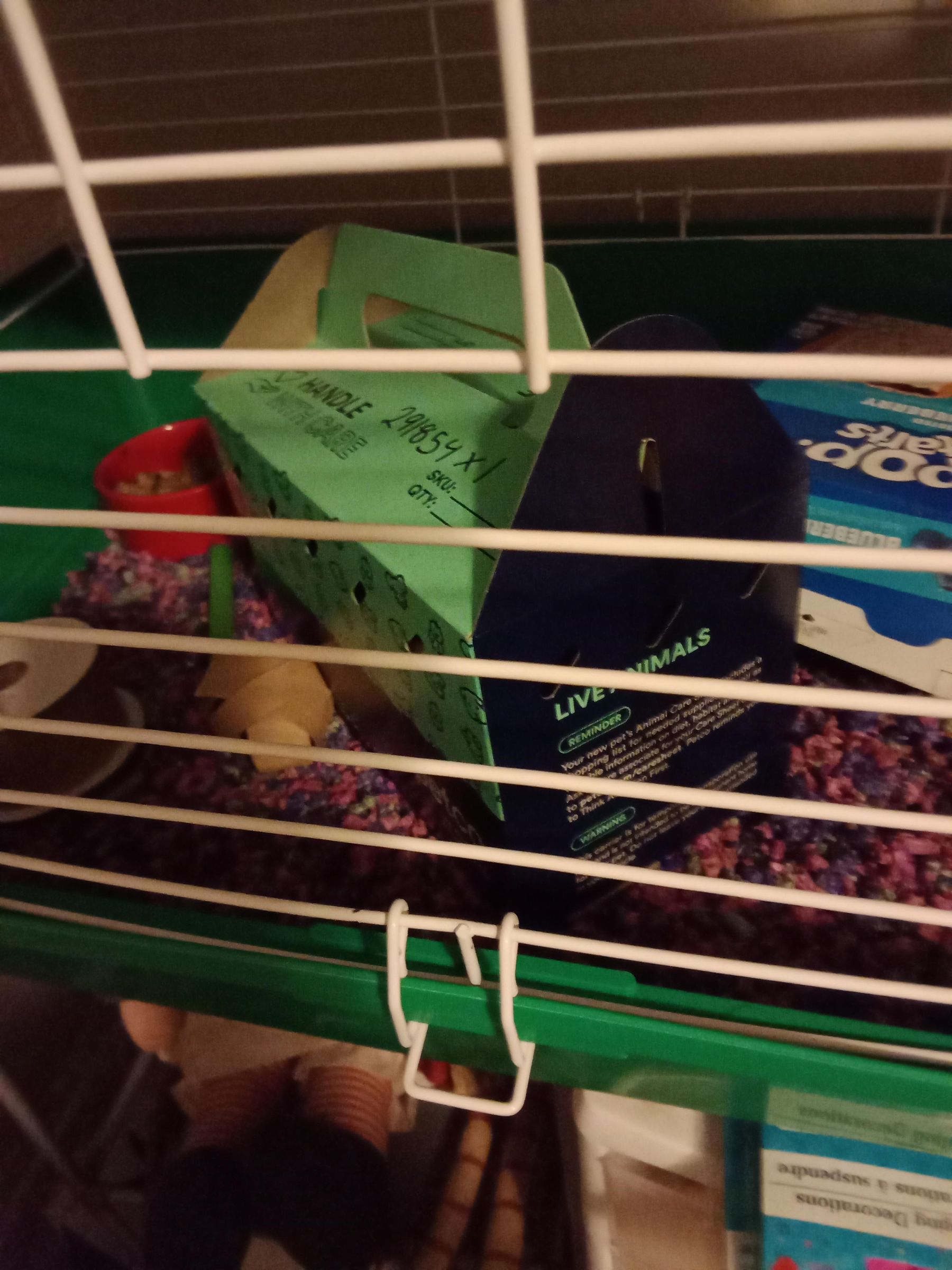 How to Catch and Escaped Pet Rat : 6 Steps - Instructables