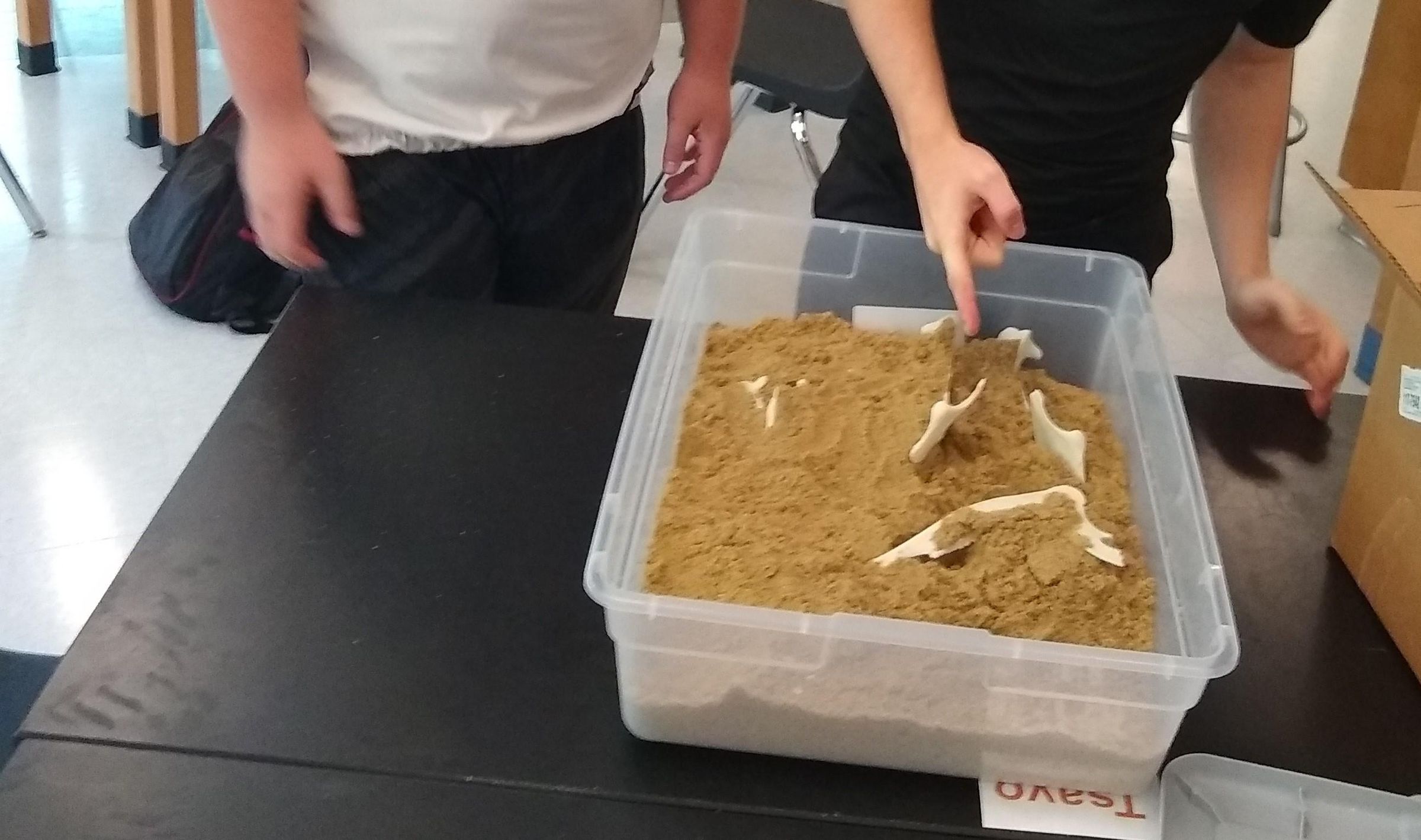 Forensic Anthropology With 3D Printed Bones : 8 Steps (with Pictures ...