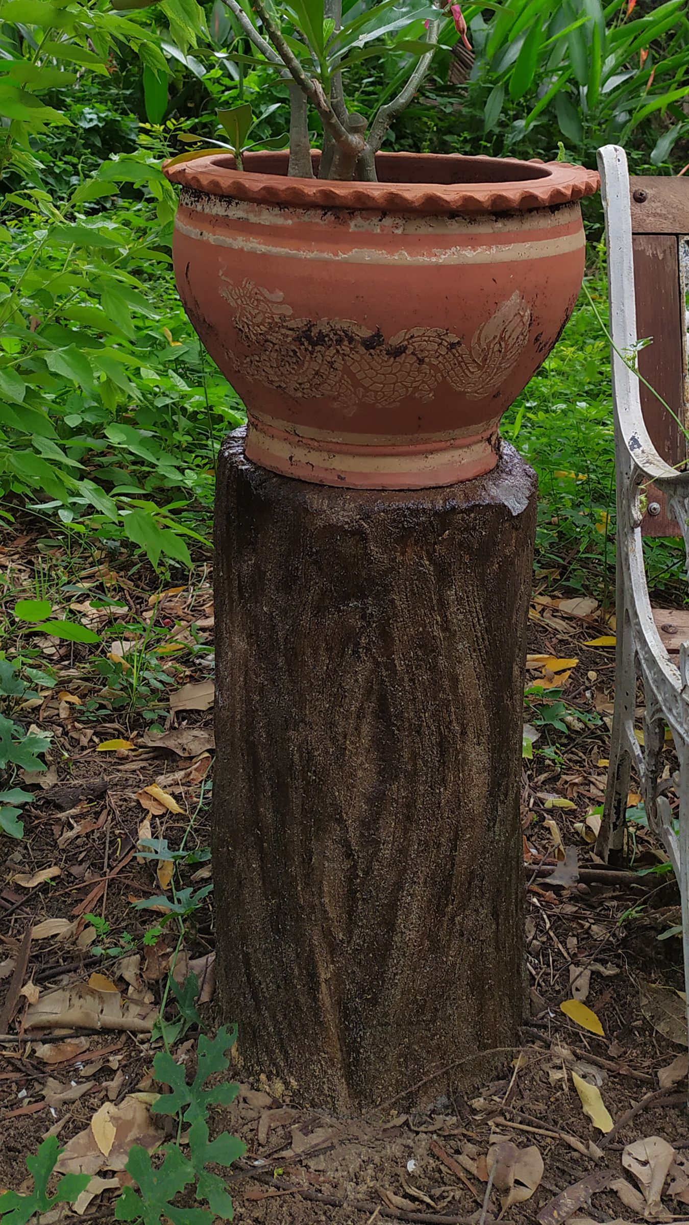 How to Make Concrete Tree Stump : 8 Steps (with Pictures) - Instructables