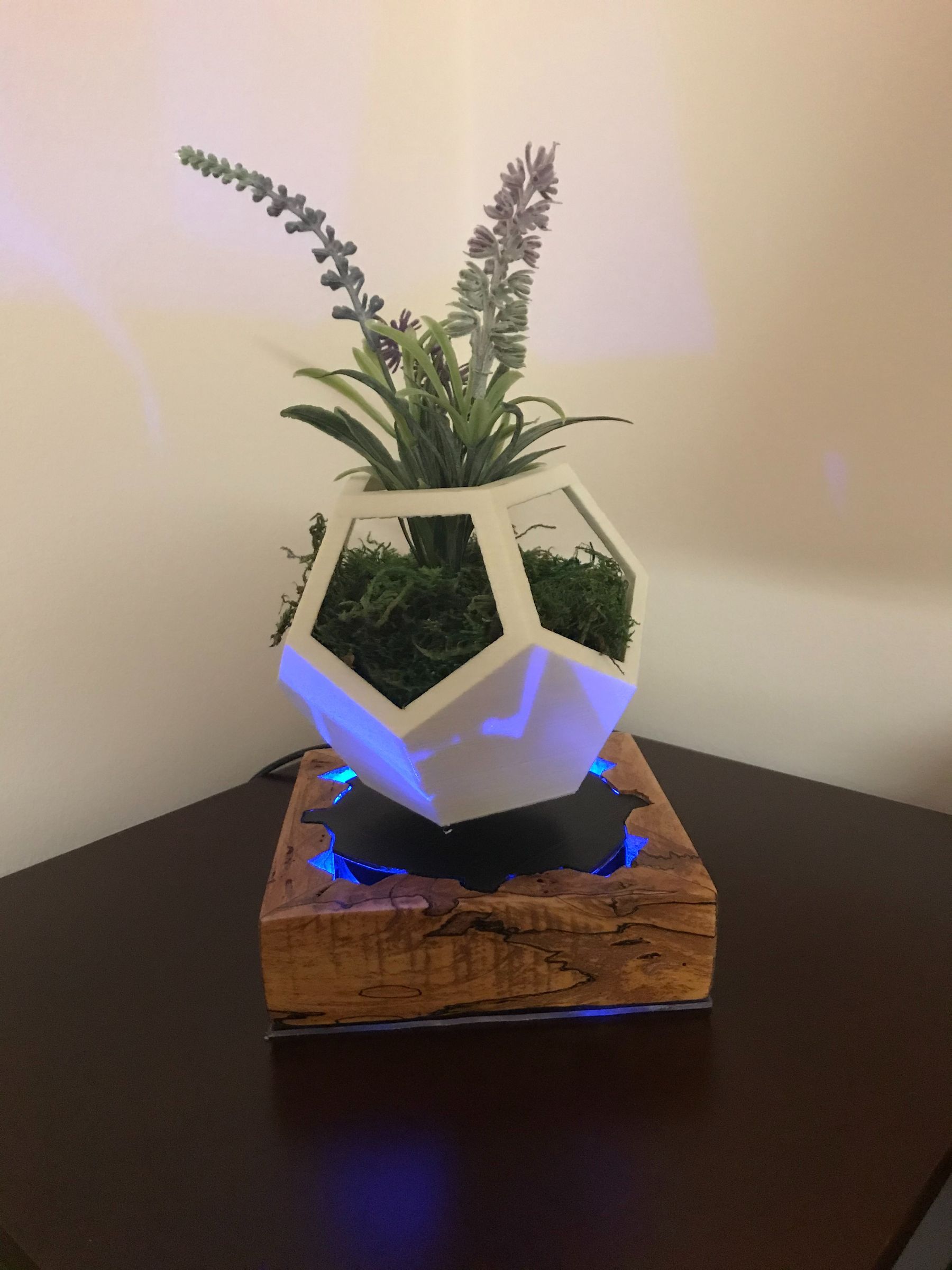 Magnetic Levitating Flower Pot : 4 Steps (with Pictures) - Instructables