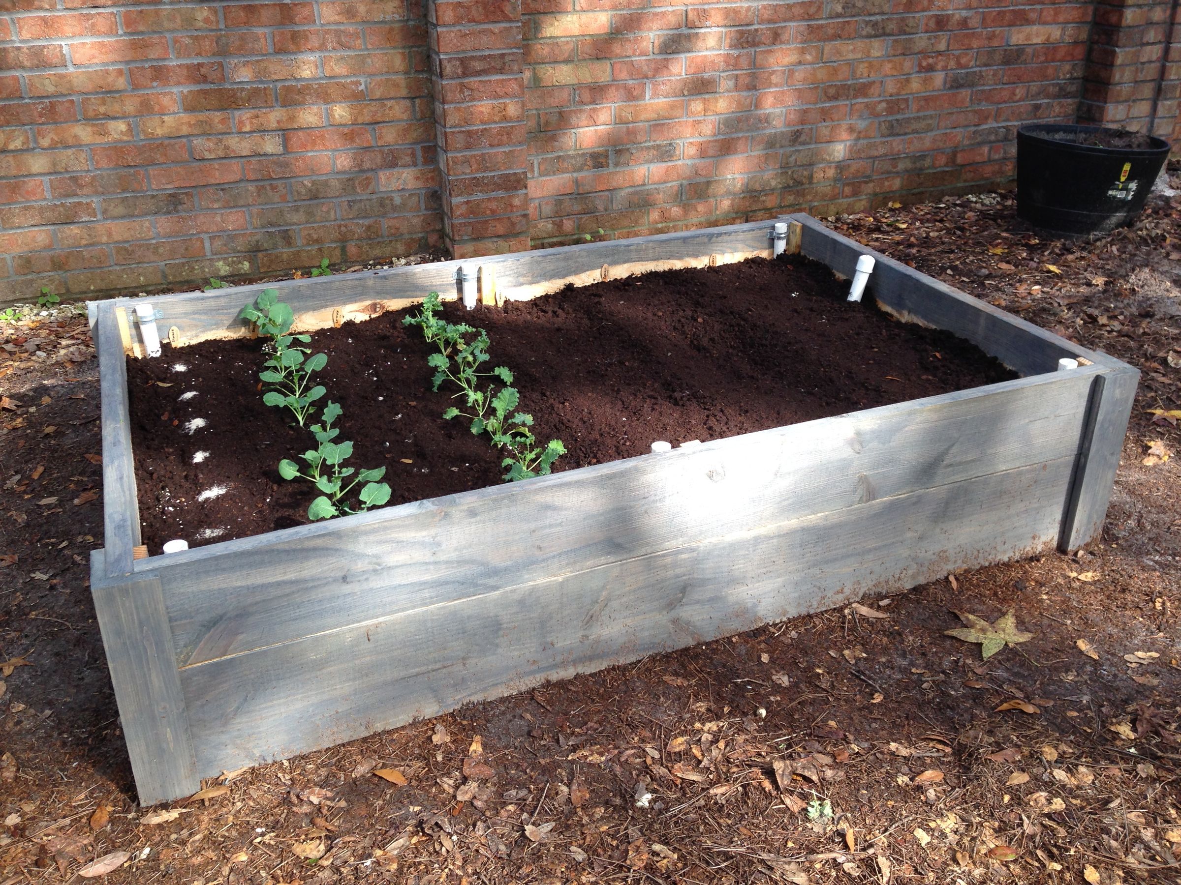 Build Raised Bed Wicking Garden