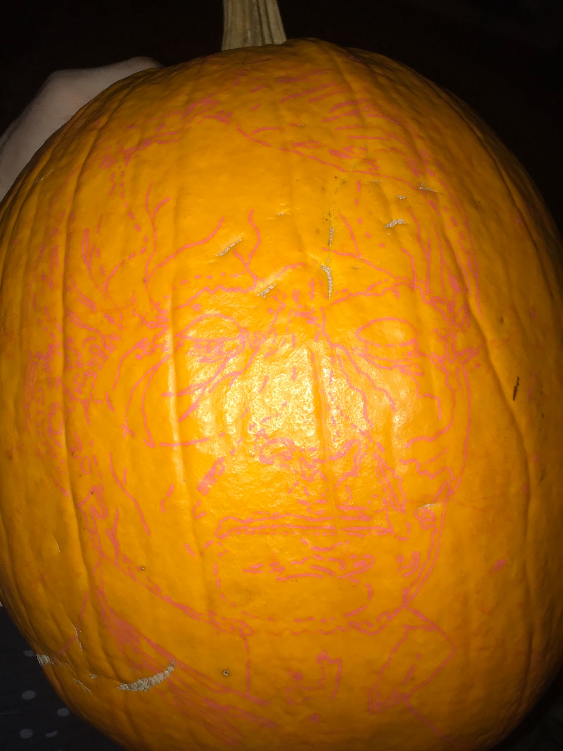 Detailed Portrait Pumpkin Carving : 8 Steps (with Pictures) - Instructables