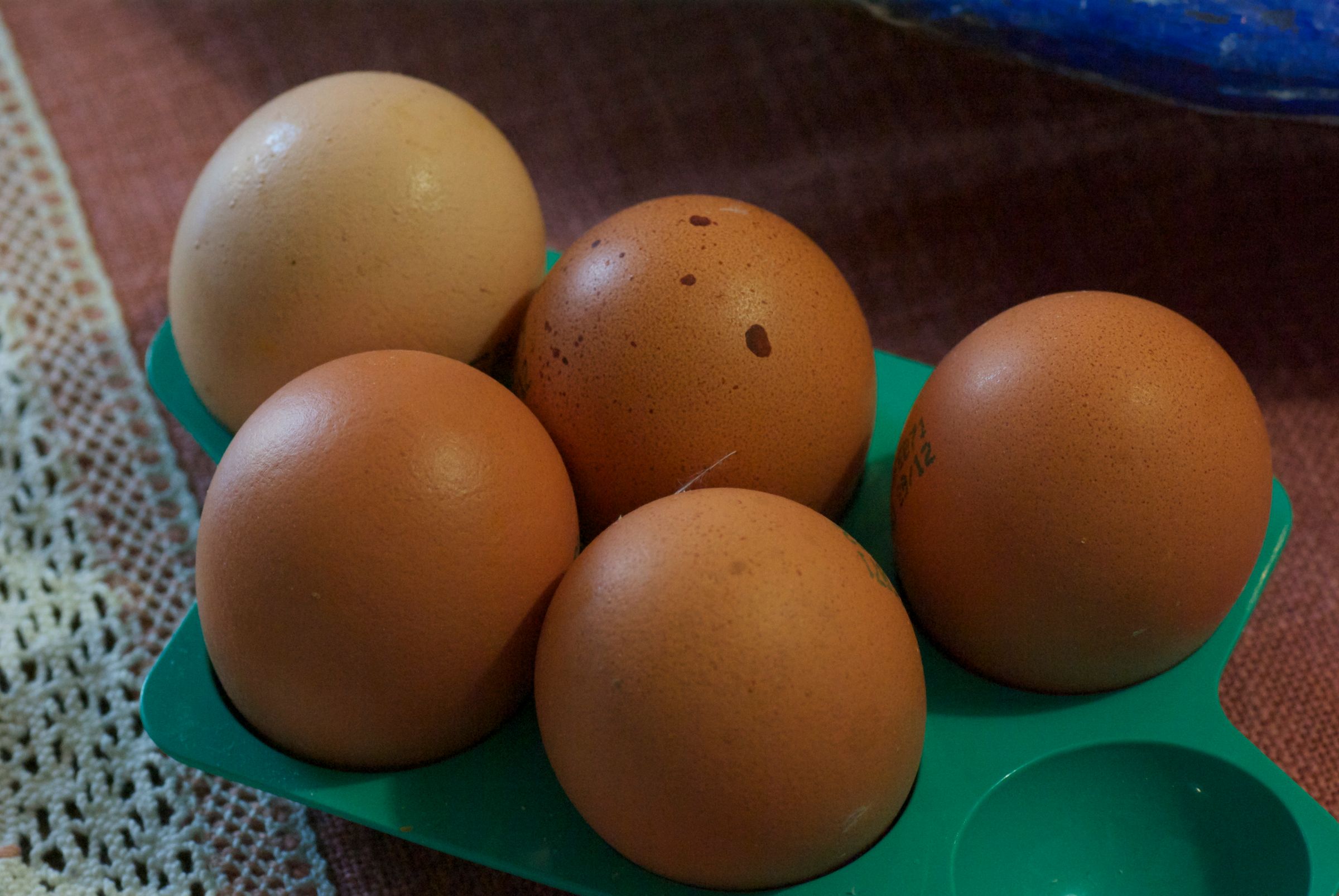 Traditional Italian Biscuits: Zaeti - Biscotti Tradizionali Veneti ...
