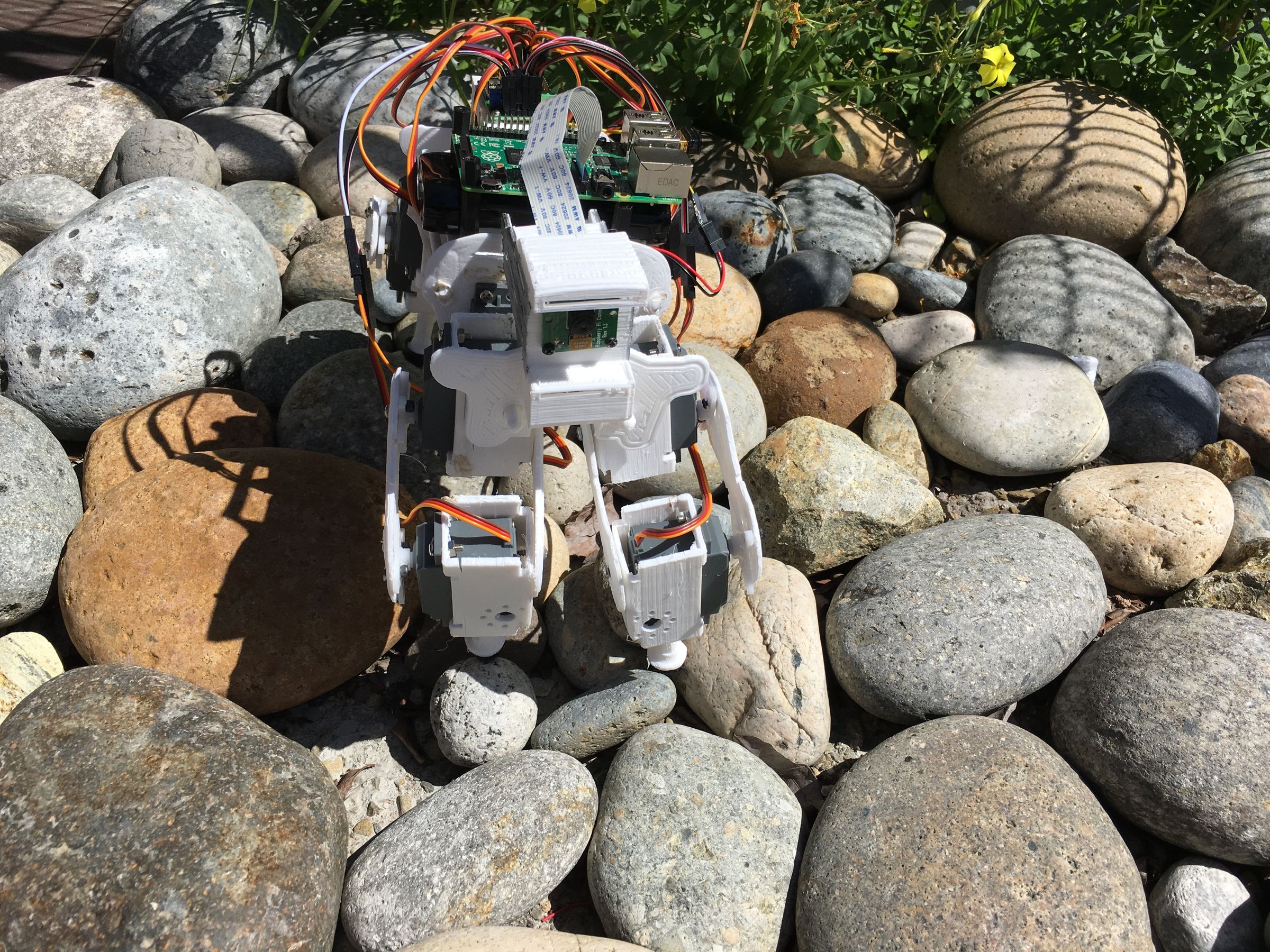 Fenrir: an Open Source Dog Robot : 16 Steps (with Pictures) - Instructables