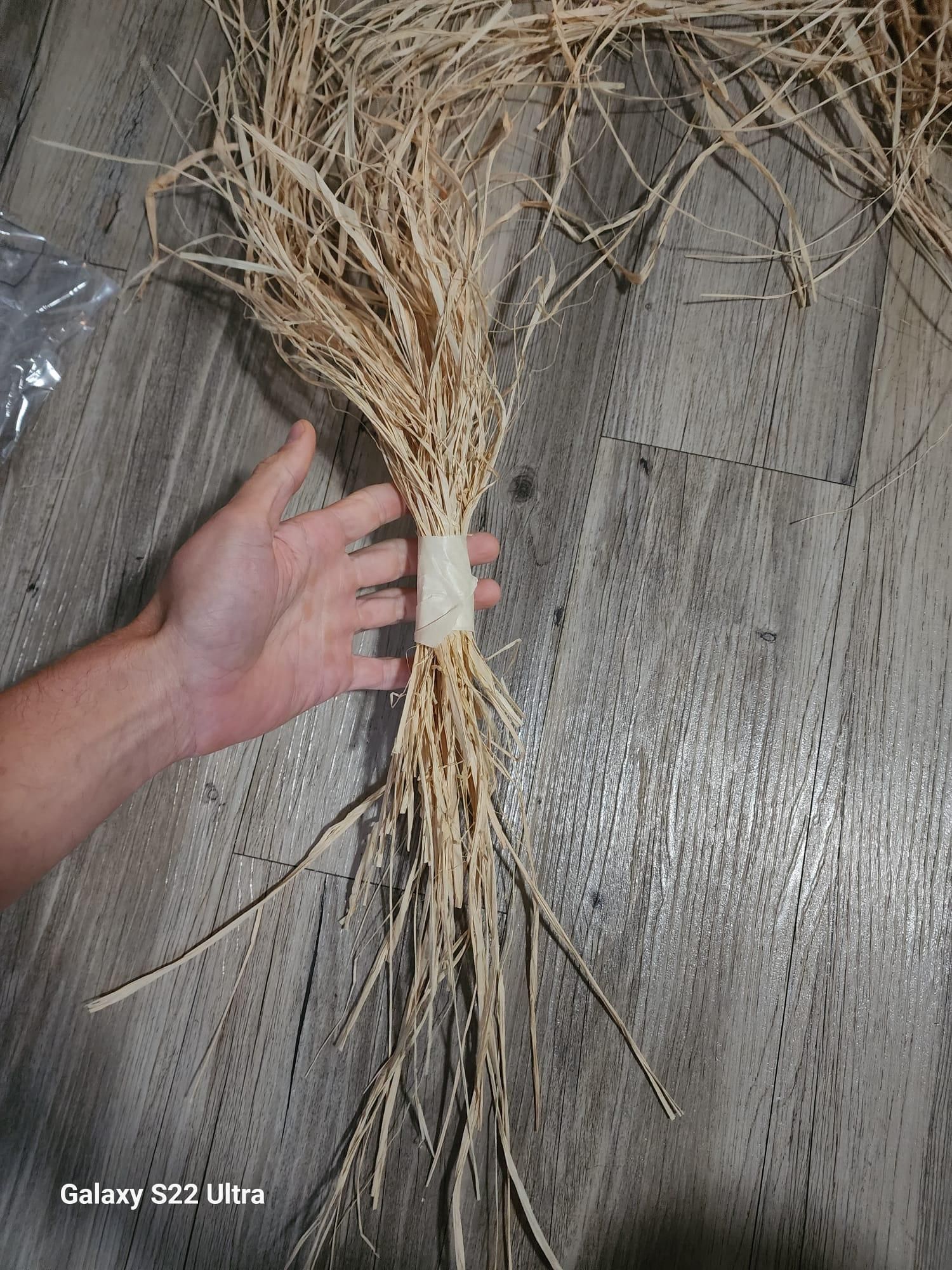 Getting Started With Traditional Wood Carving and Carving a Mask : 10 ...