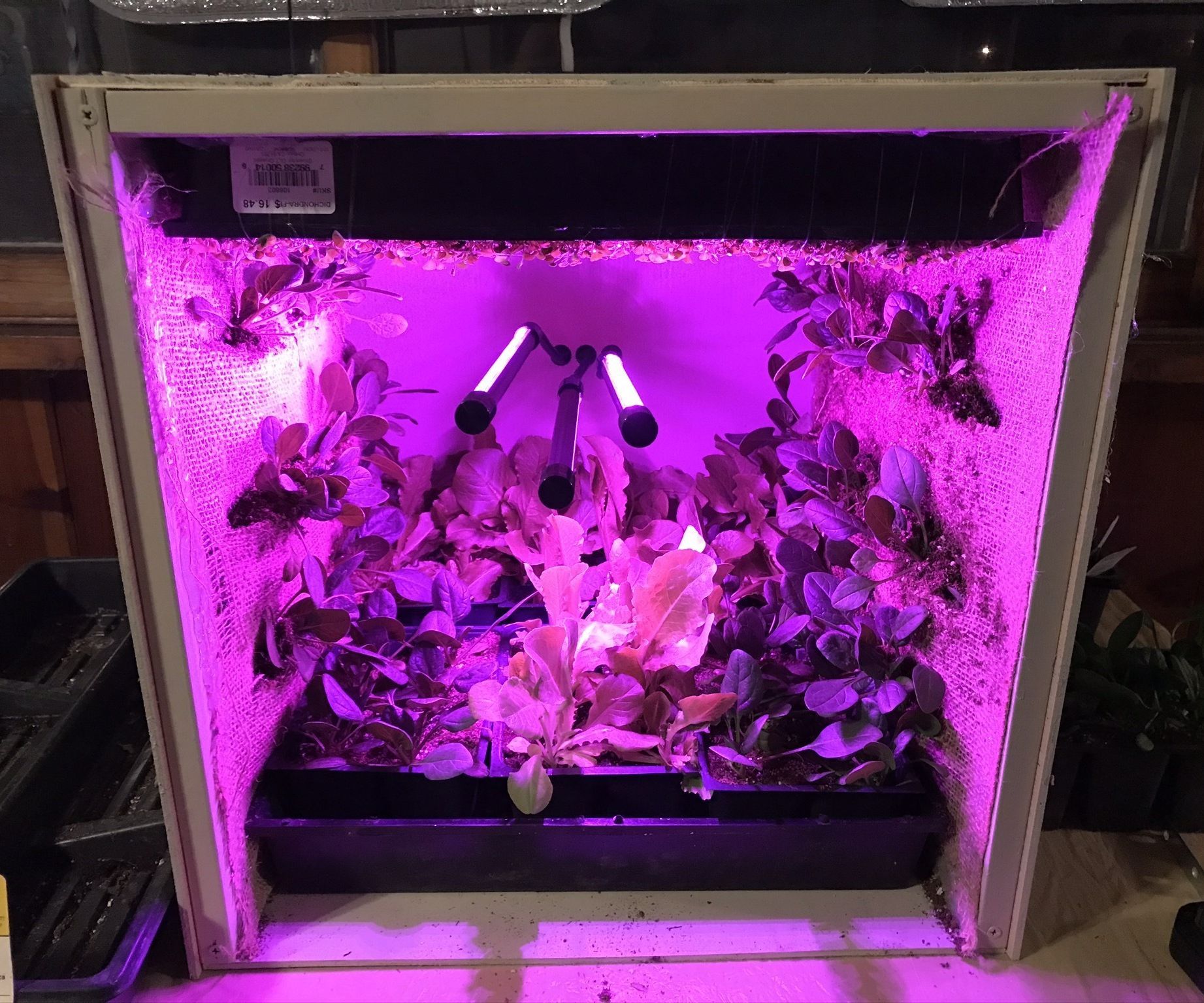 Zero Gravity Garden -Grow Beyond Earth : 6 Steps - Instructables