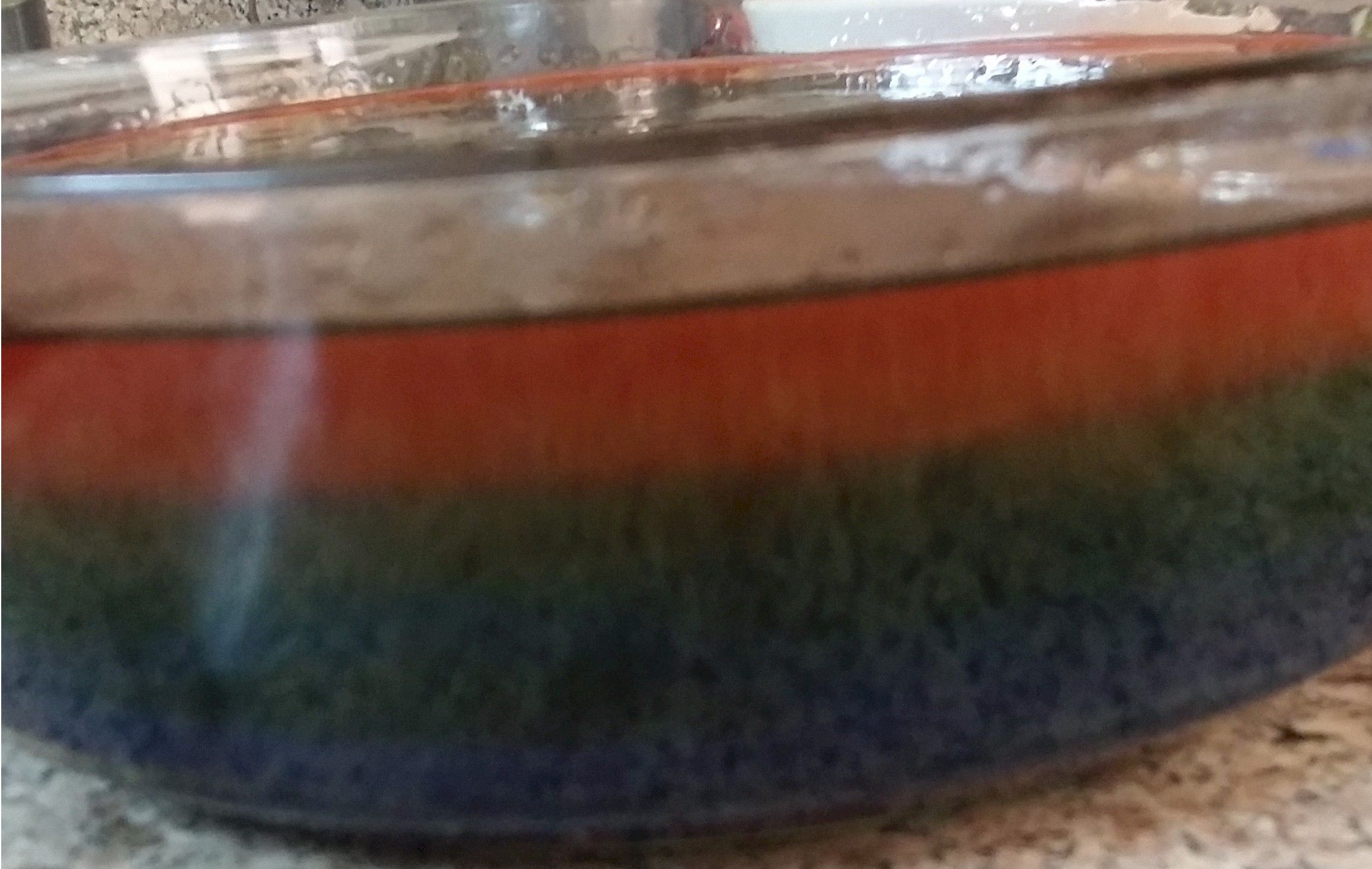 Rainbow Agar-agar : 4 Steps - Instructables