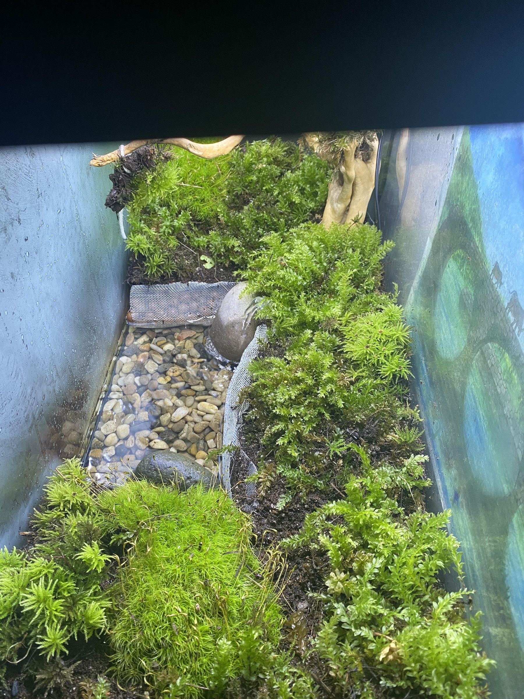 How to Build a Paludarium : 7 Steps (with Pictures) - Instructables