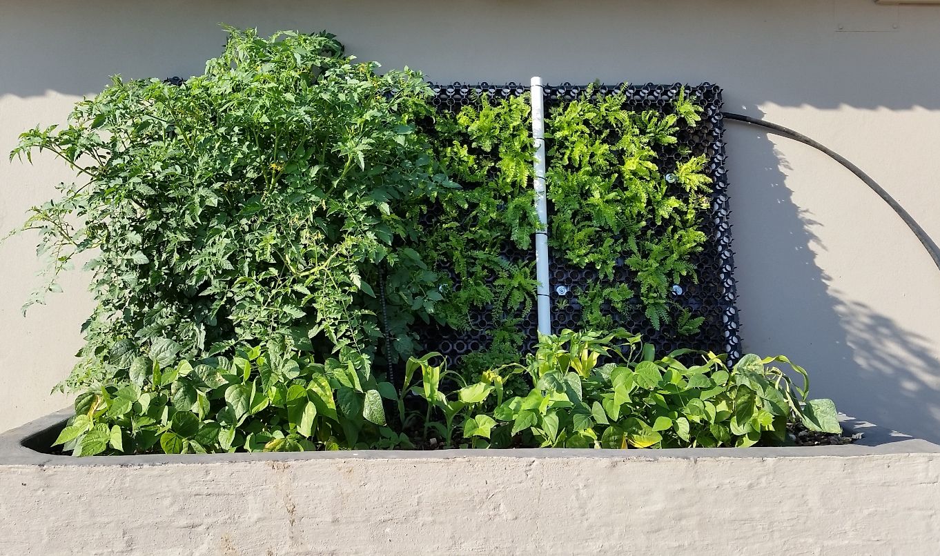 Hydroponic Ideas : 5 Steps (with Pictures) - Instructables