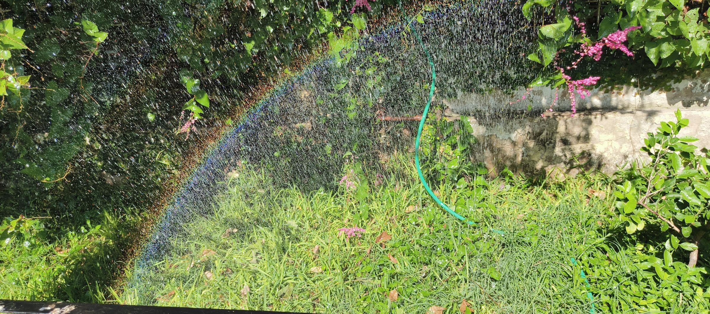 How to Create a Rainbow Using Water and Sunlight : 6 Steps (with ...