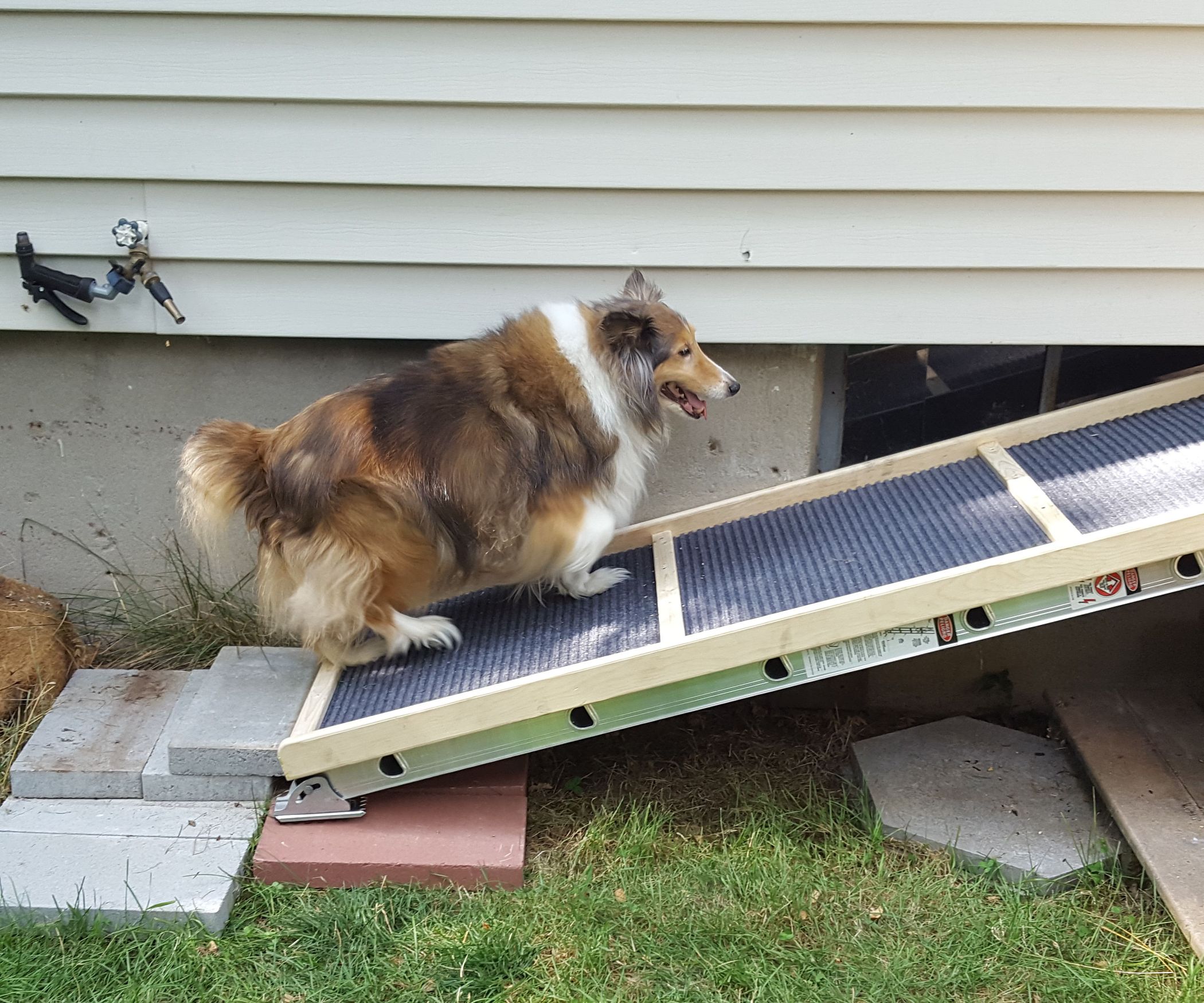 Mighty Light Pet Accessibility Ramp : 7 Steps (with Pictures ...