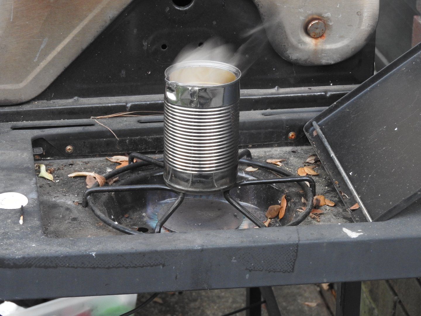Sap Fire Starter : 8 Steps (with Pictures) - Instructables