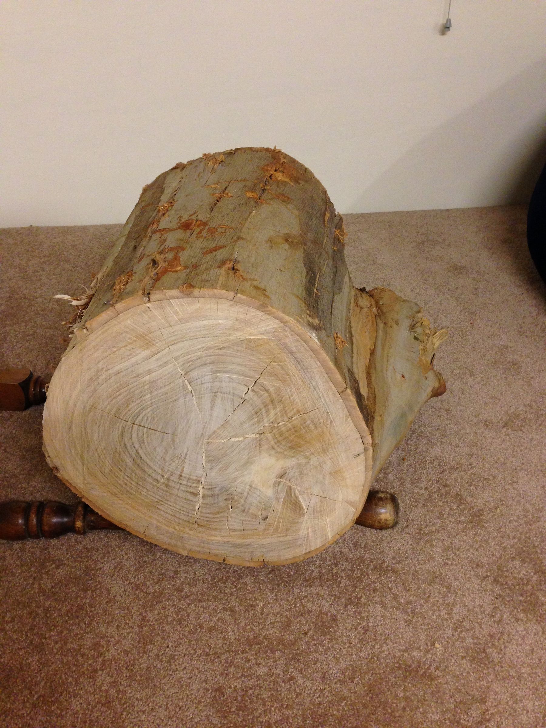 Wooden Stump Wall Clock : 8 Steps - Instructables