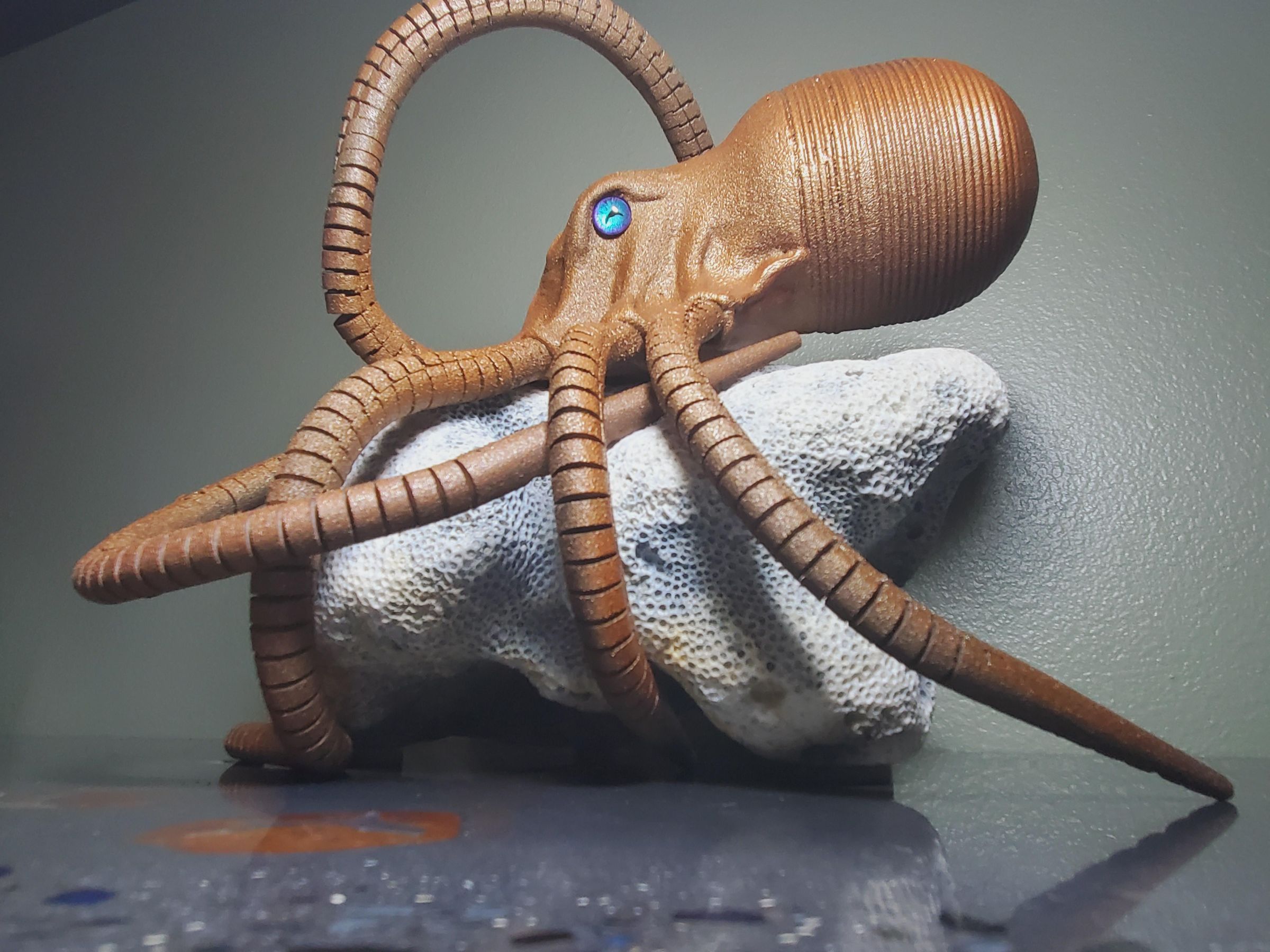 My Octopus Instructor'able : 7 Steps (with Pictures) - Instructables