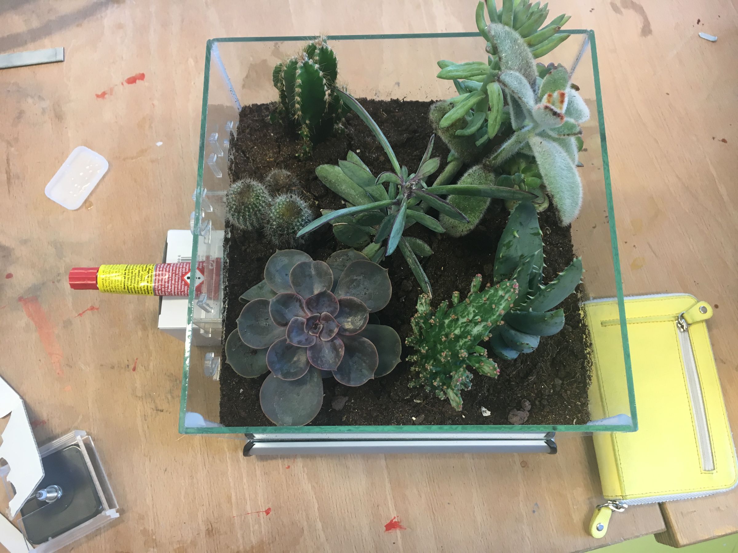 Terrarium Clock : 6 Steps (with Pictures) - Instructables