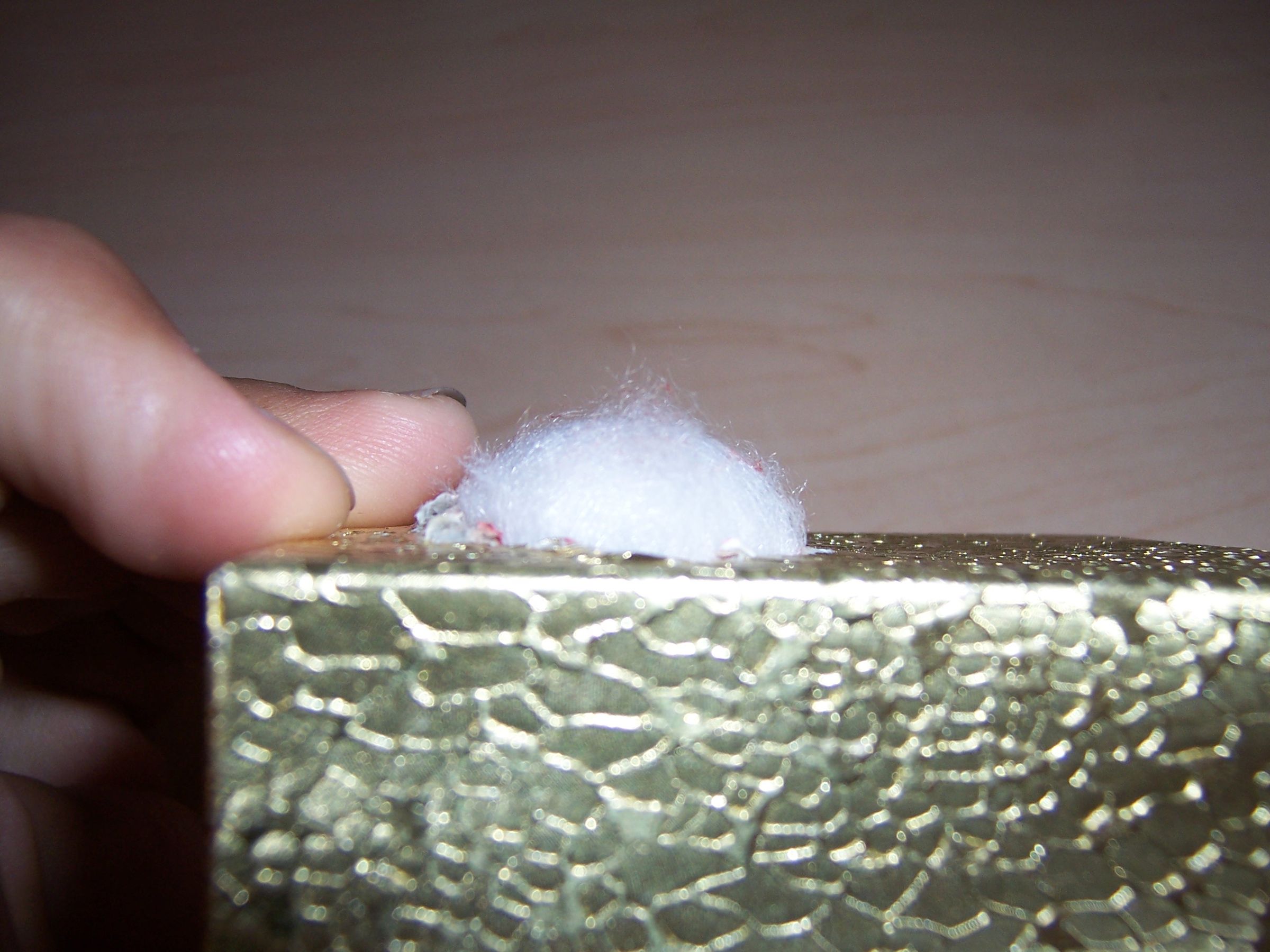 How to Make the Finger in a Box Prank! : 6 Steps - Instructables