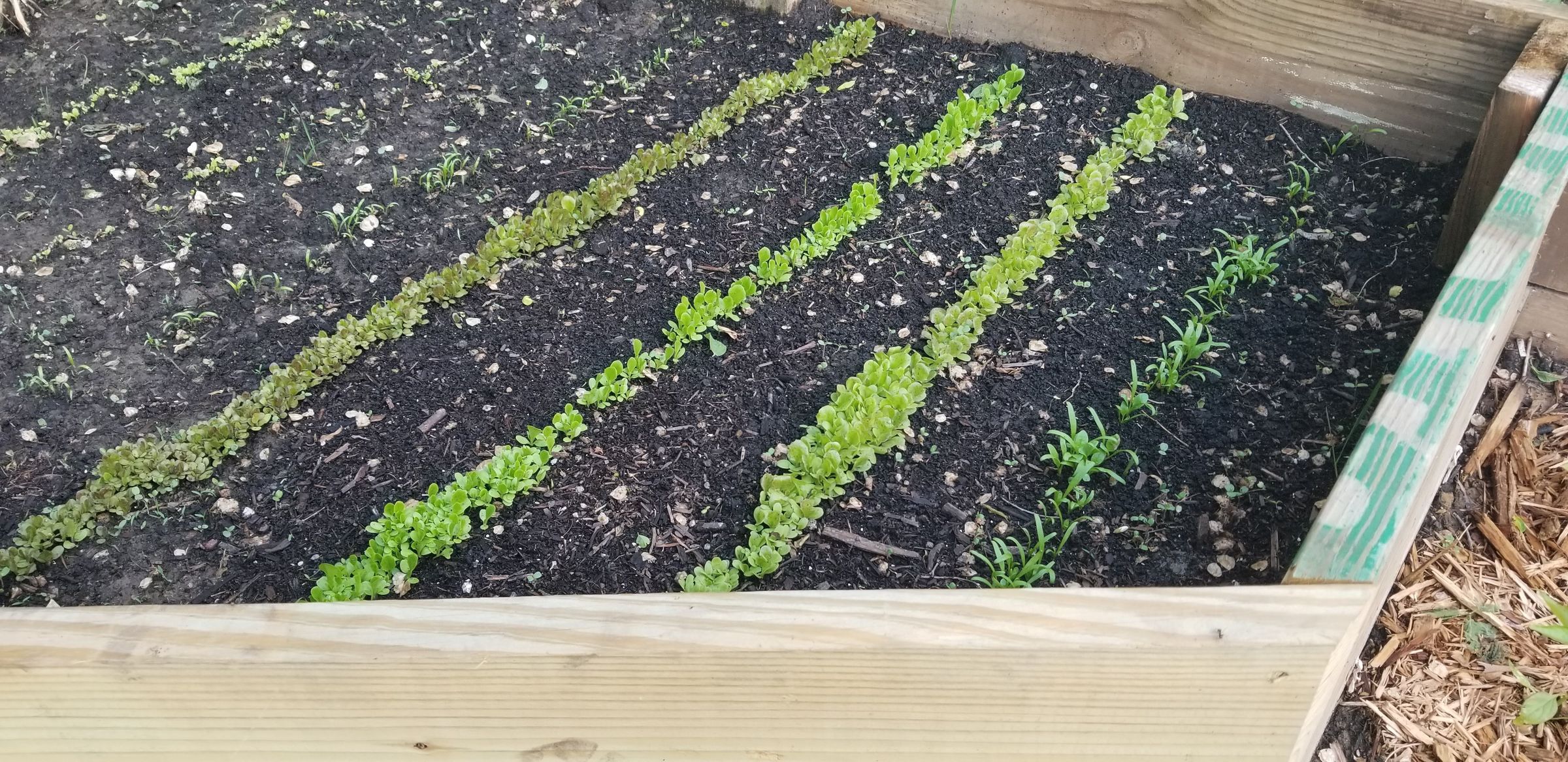 Automated Garden System Built on Raspberry Pi for Outdoors or Indoors ...