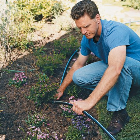 Laying Out Drip Irrigation